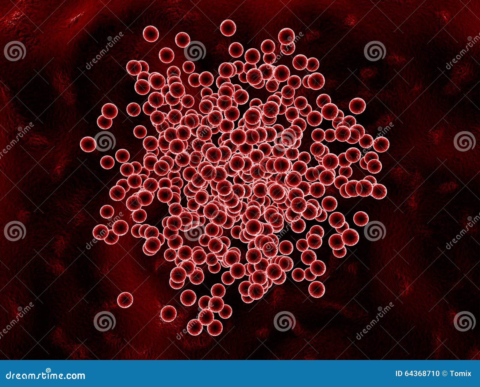 Cells, Micro Organisms, Life Formation. Cell Duplication. Formation Of ...