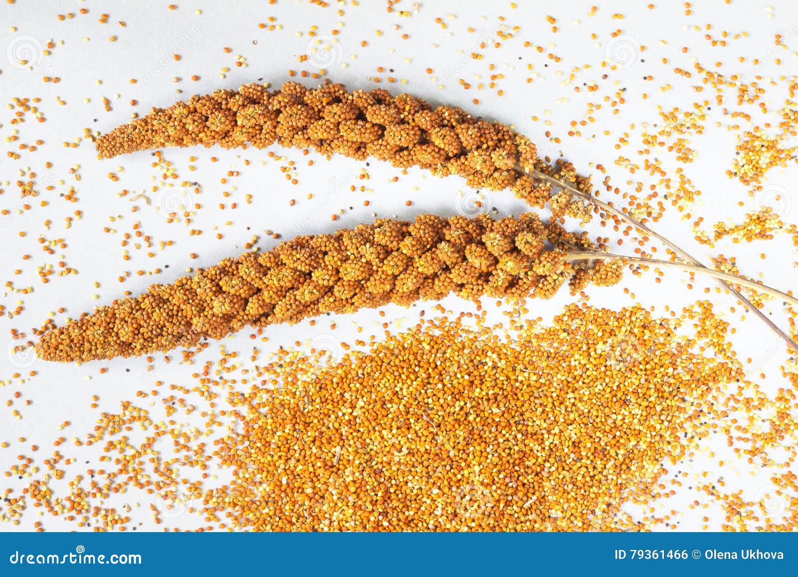 Millet On Gray Color Background And Clipping Path. Royalty-Free Stock ...