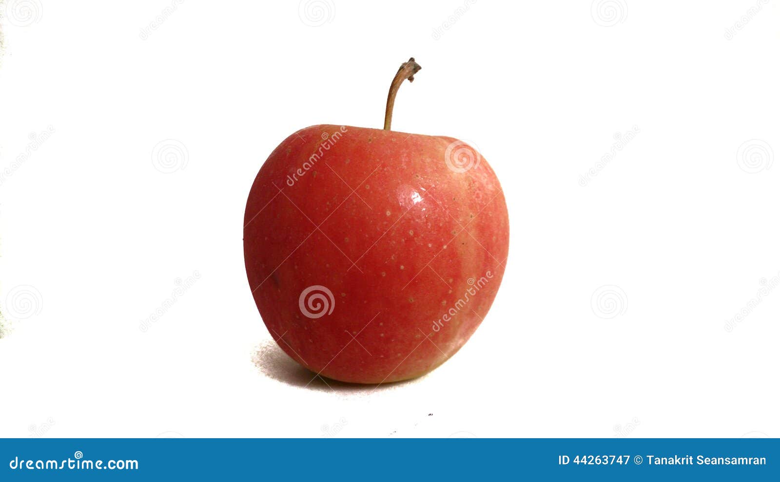 Red mini apple stock image. Image of healthy, fruit, apples - 44263747