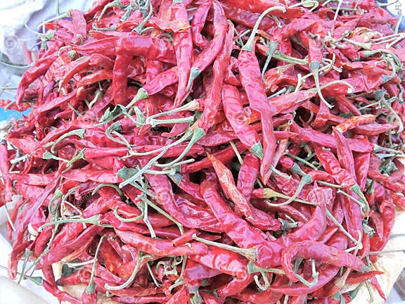 Red mirchi stock photo. Image of chili, pepper, peppers - 61884338