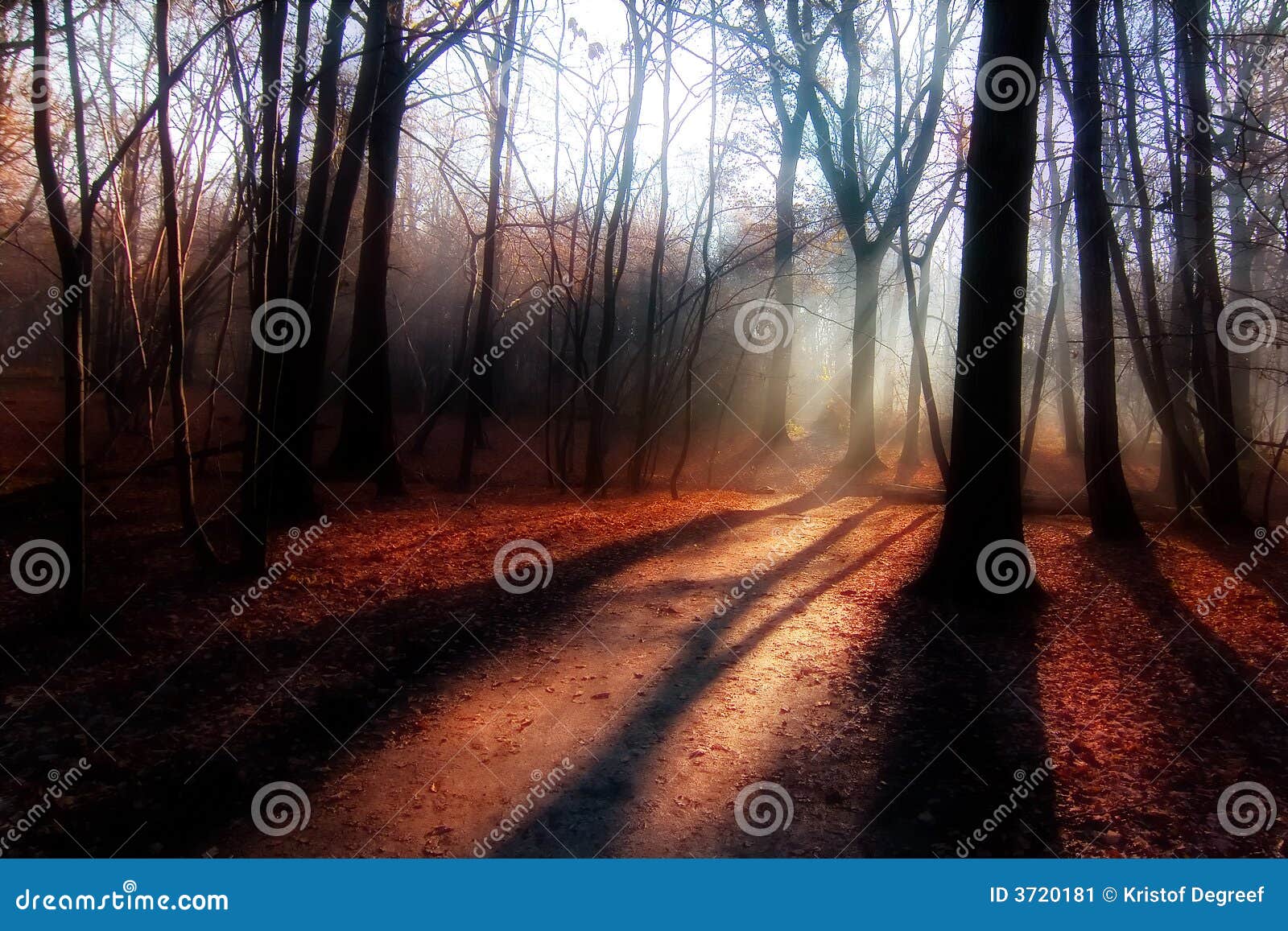 Red mist stock image. Image of crossing, branch, front - 3720181
