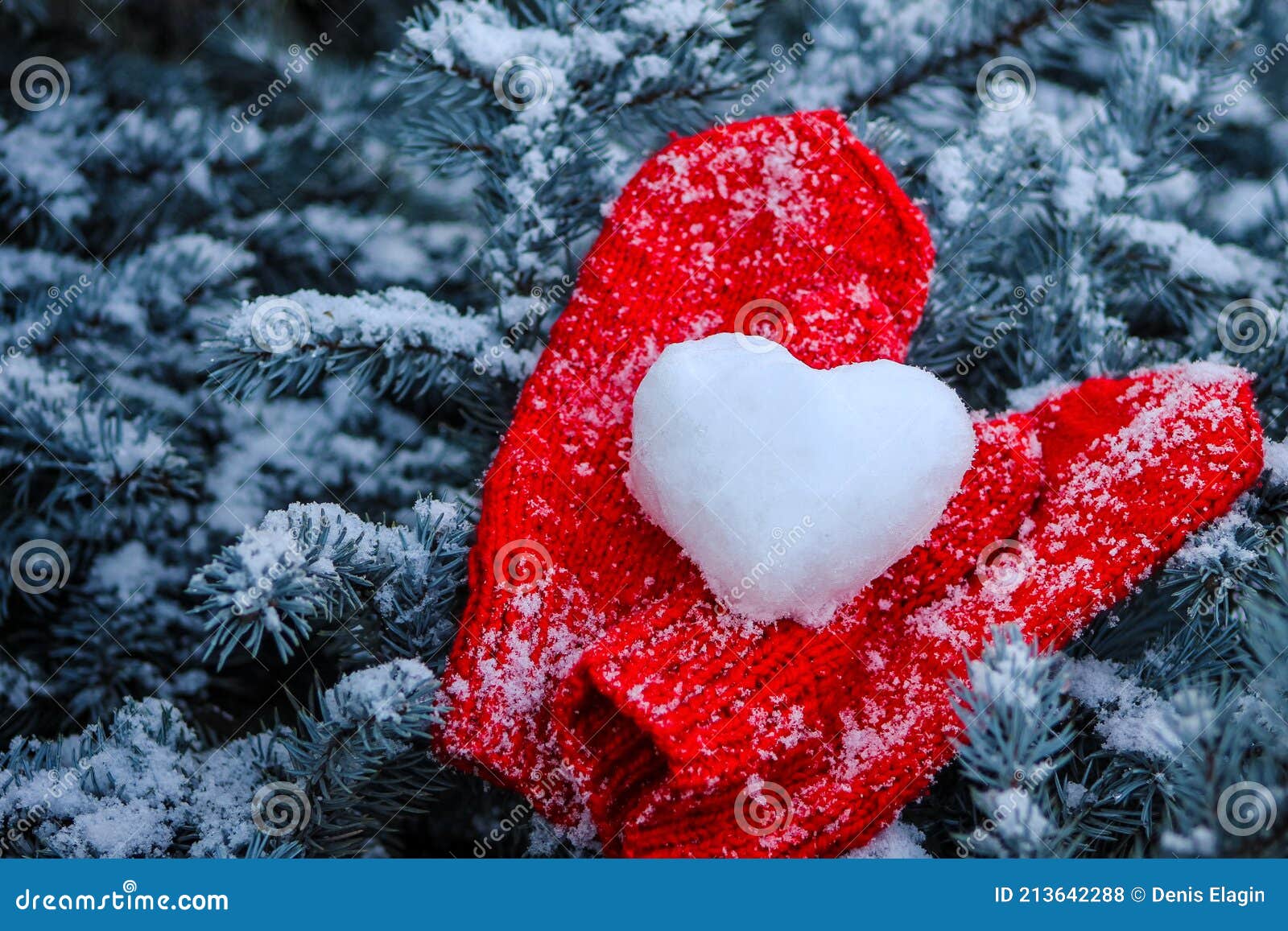 Red Mittens with Snow Heart on Pine Tree Snowy Branches Stock Photo ...