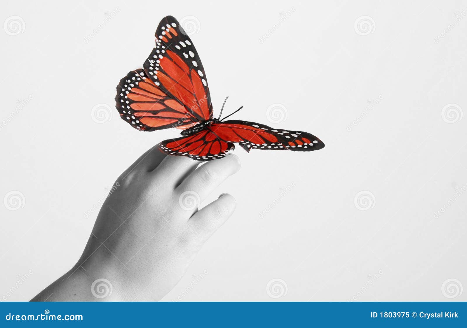 Red monarch butterfly stock image. Image of childs, artistic - 1803975