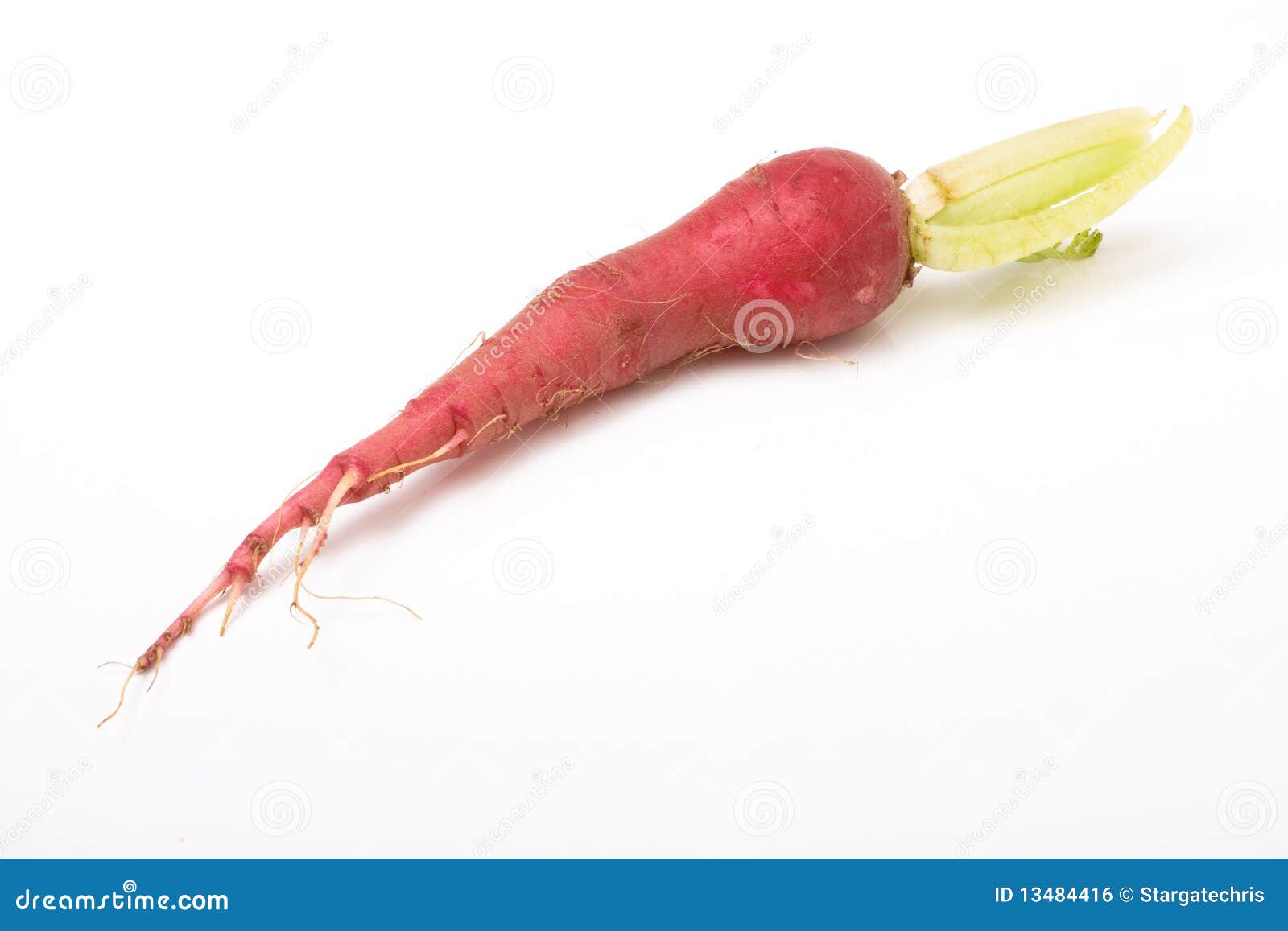 Red mooli stock photo. Image of mooli, healthy, colorful - 13484416