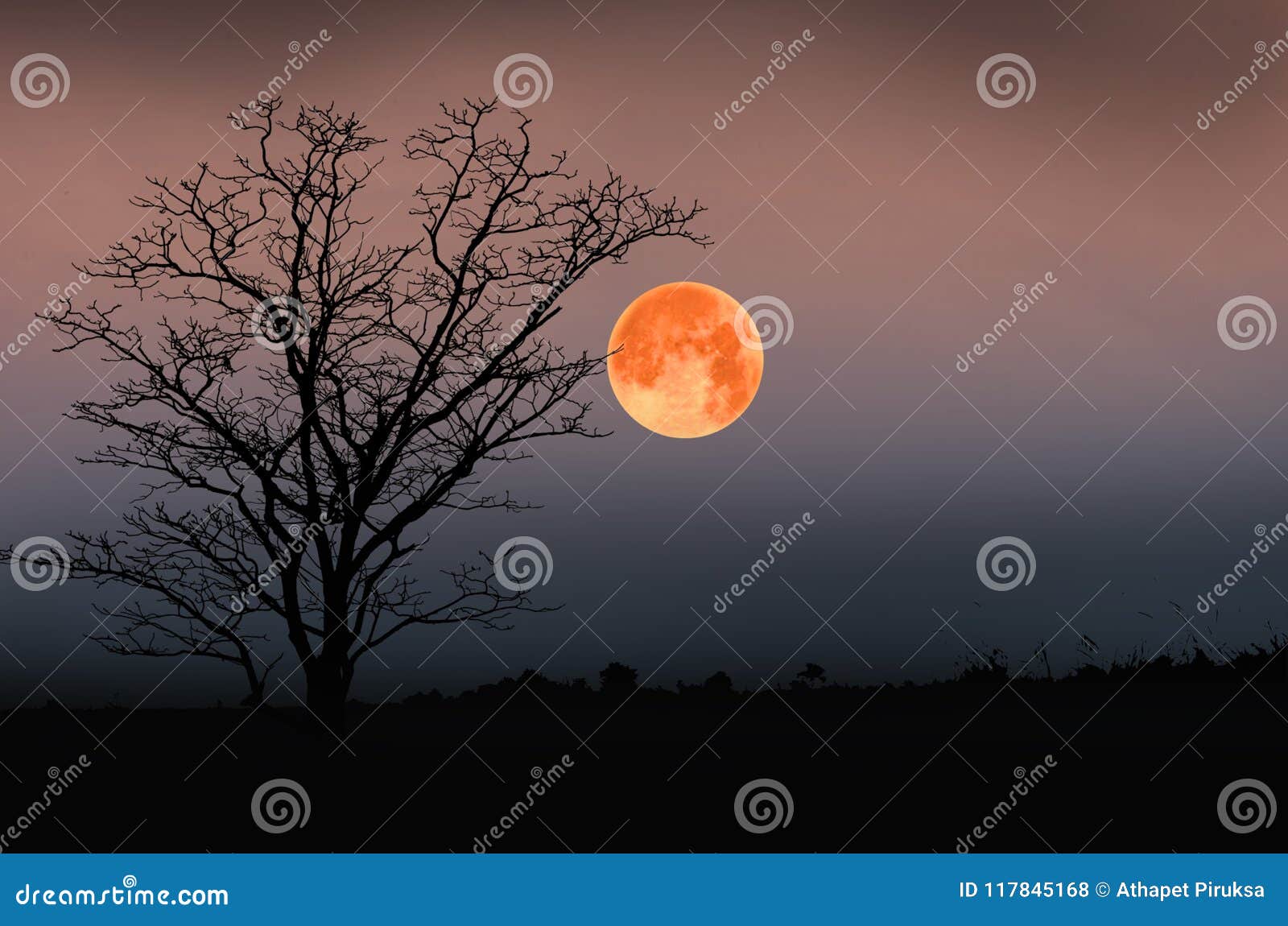 Red Moon in the Horror Night Stock Photo - Image of bright, atmosphere ...