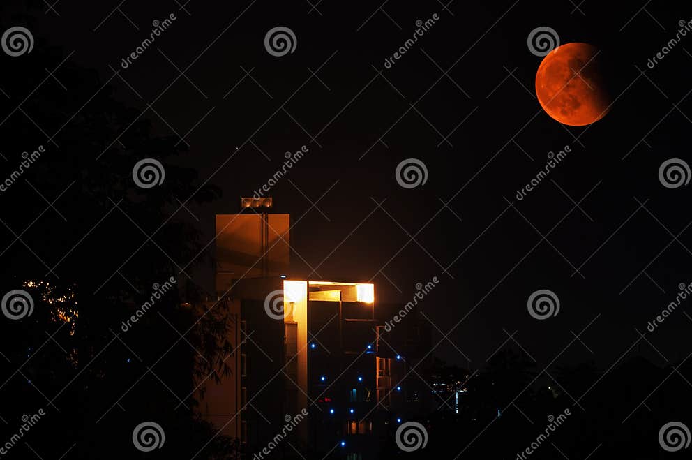 Red Moon and Surface Structures Stock Image - Image of leaf, cosmos ...