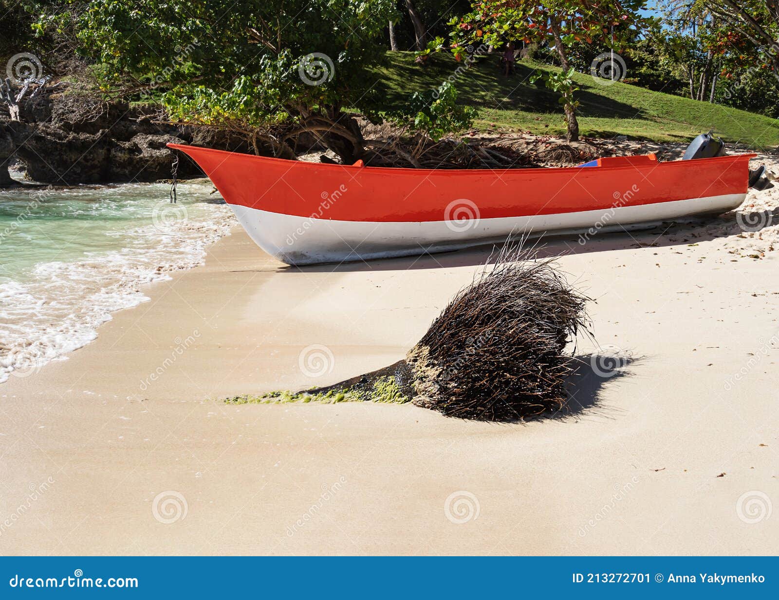 Red Motor Boat and Coconut Tree Root on the Seashore Stock Image ...