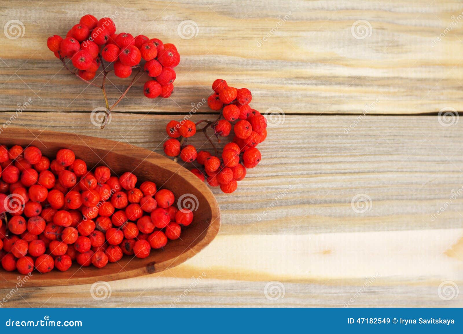 Red Mountain Ash on a Wooden Background Stock Image - Image of close ...