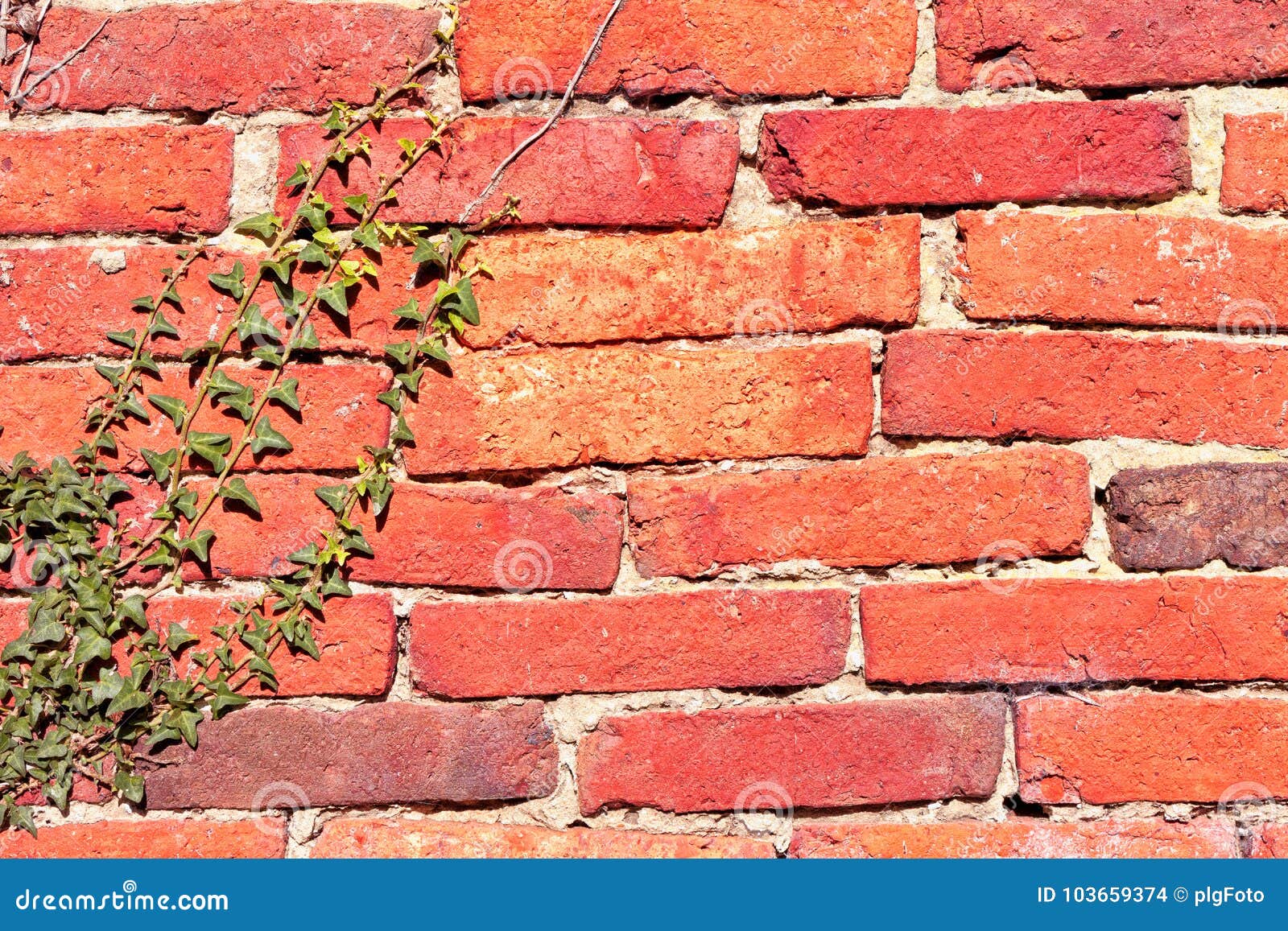 Red mud brick wall texture stock photo. Image of grimy - 103659374