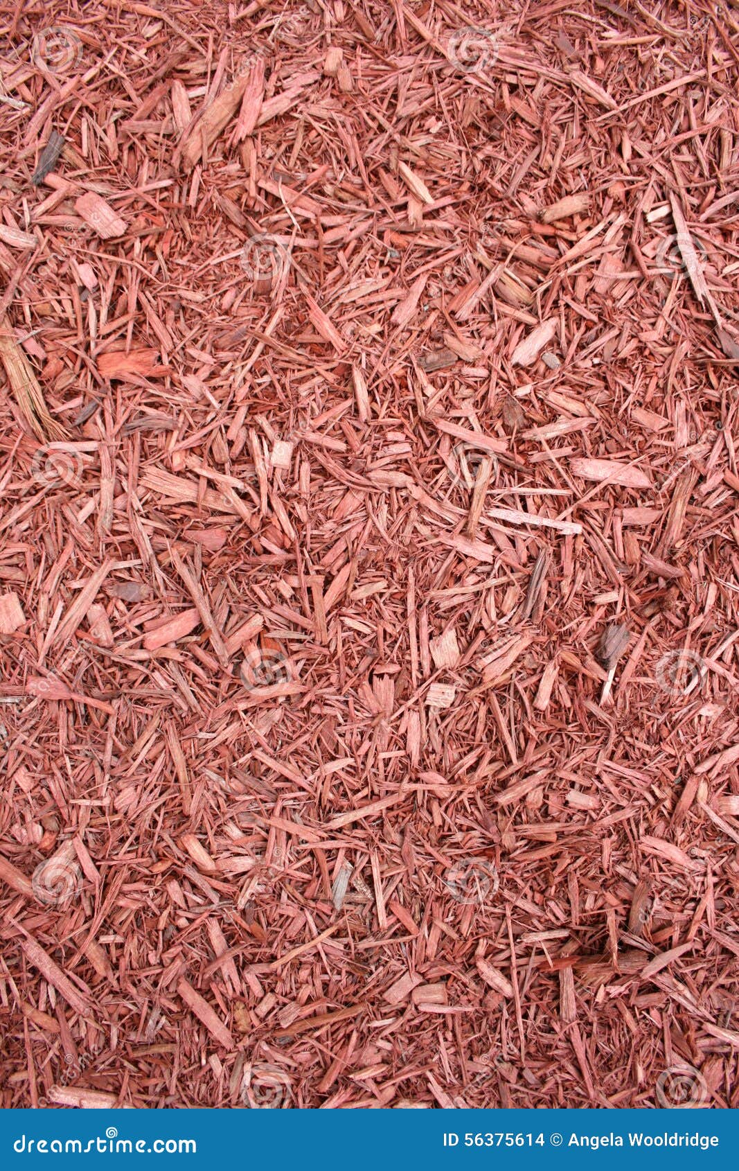 Red Mulch Background Close Up Stock Photo - Image of isolated, rocky ...