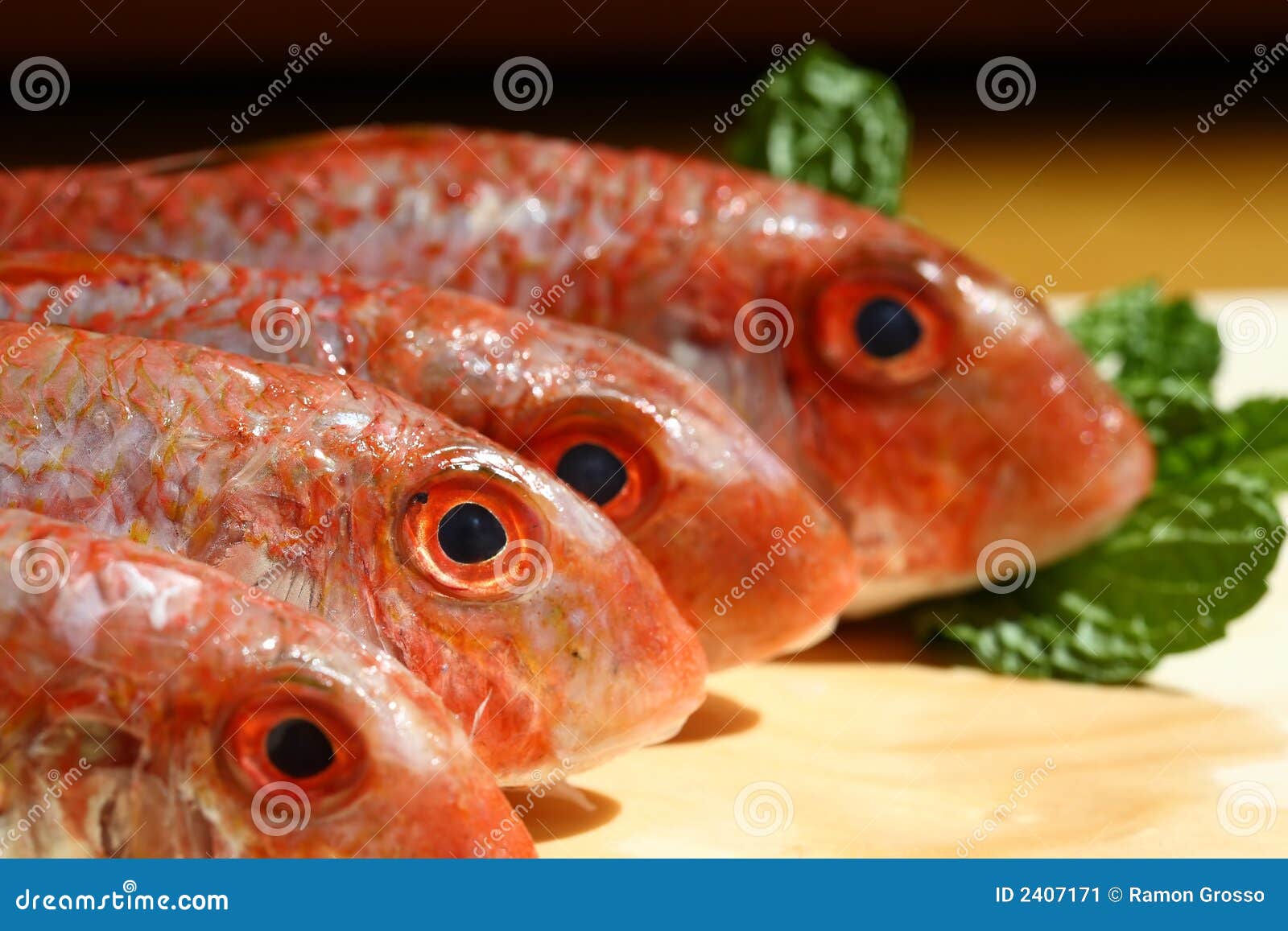 Red mullet stock image. Image of fresh, ship, fishes, sell - 2407171
