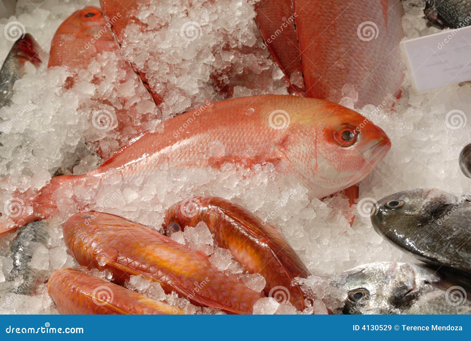 Red Mullet on Fishmonger S Slab Stock Image - Image of delicious, bream ...