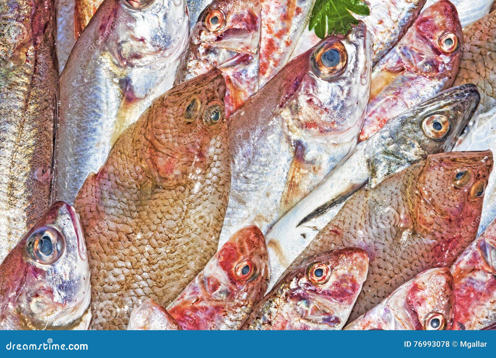Red Mullet and Mediterranean Fish Stock Photo - Image of cold ...