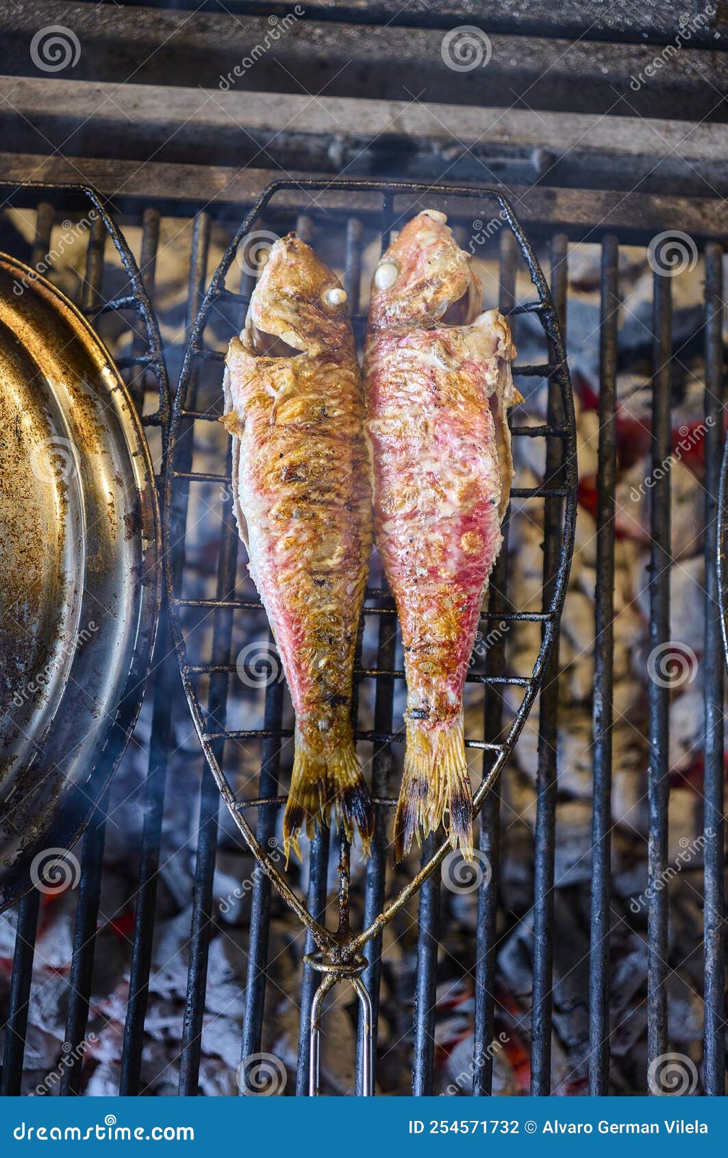 Red Mullets on a grill stock photo. Image of barbequing - 254571732