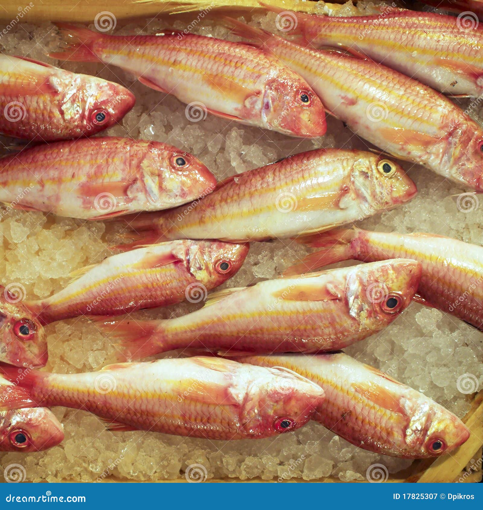 Red mullets fish closeup stock image. Image of cook, barbouni - 17825307