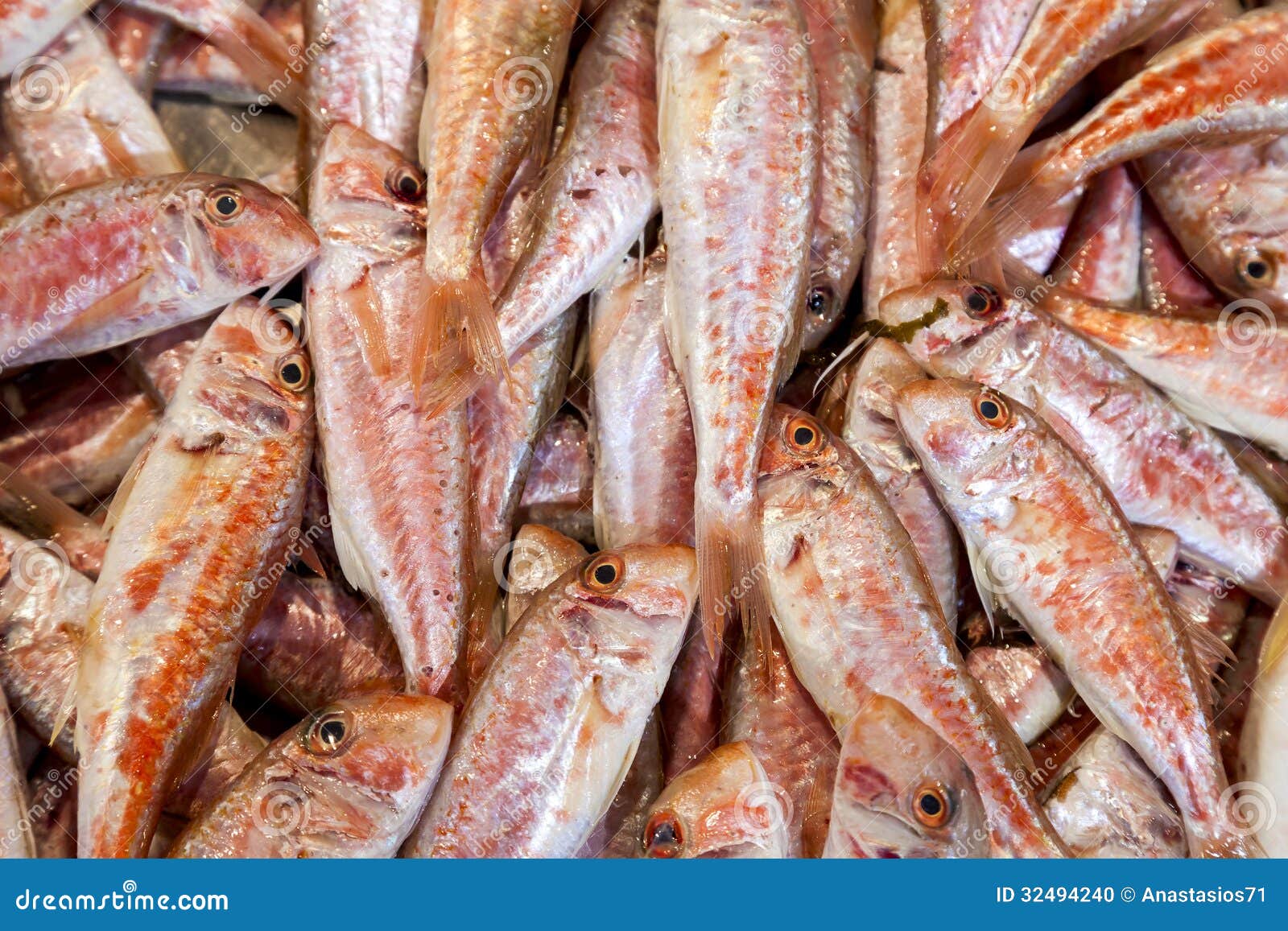 Red Mullets (Mullus Barbatus) Stock Photo - Image of pieces, food: 32494240