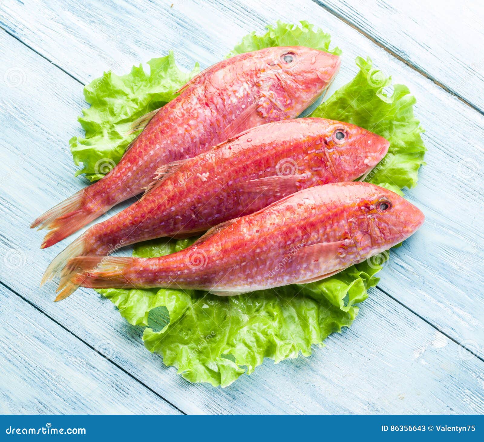 Red mullets. stock image. Image of mullus, valued, delicacy - 86356643