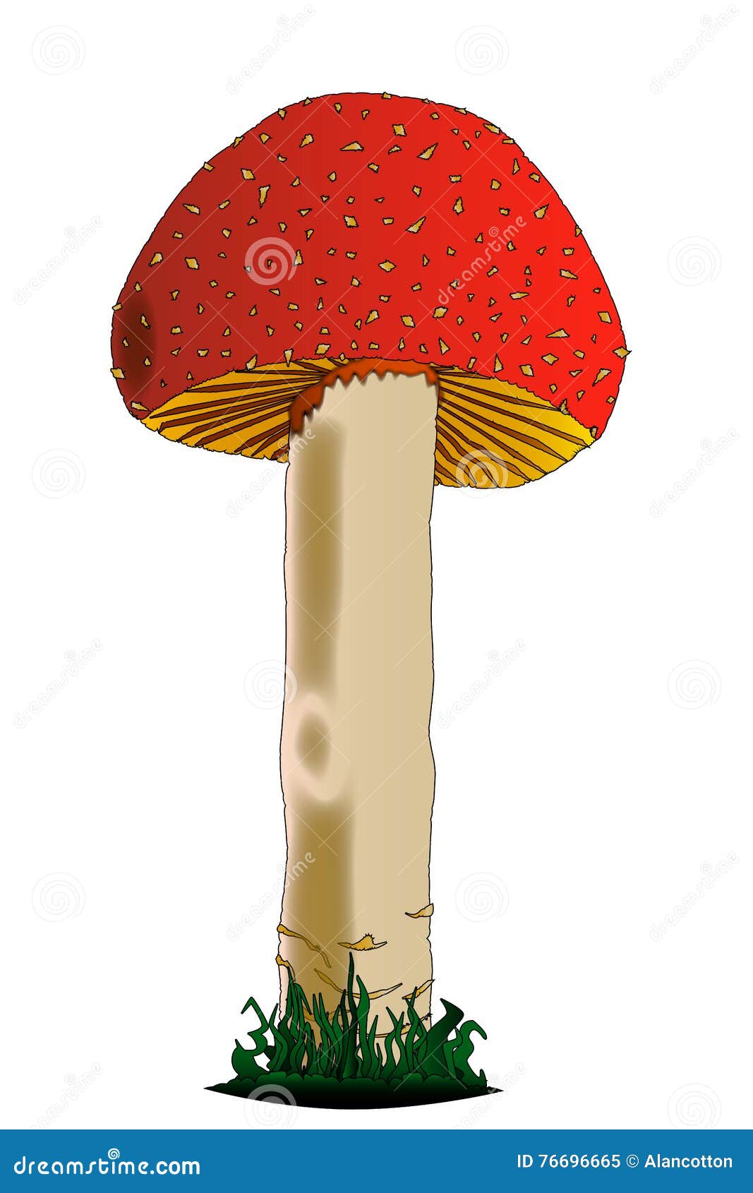 Red Mushroom stock vector. Illustration of background - 76696665
