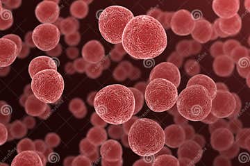 Red Mutated Cells Under a Microscope Stock Image - Image of medicine ...