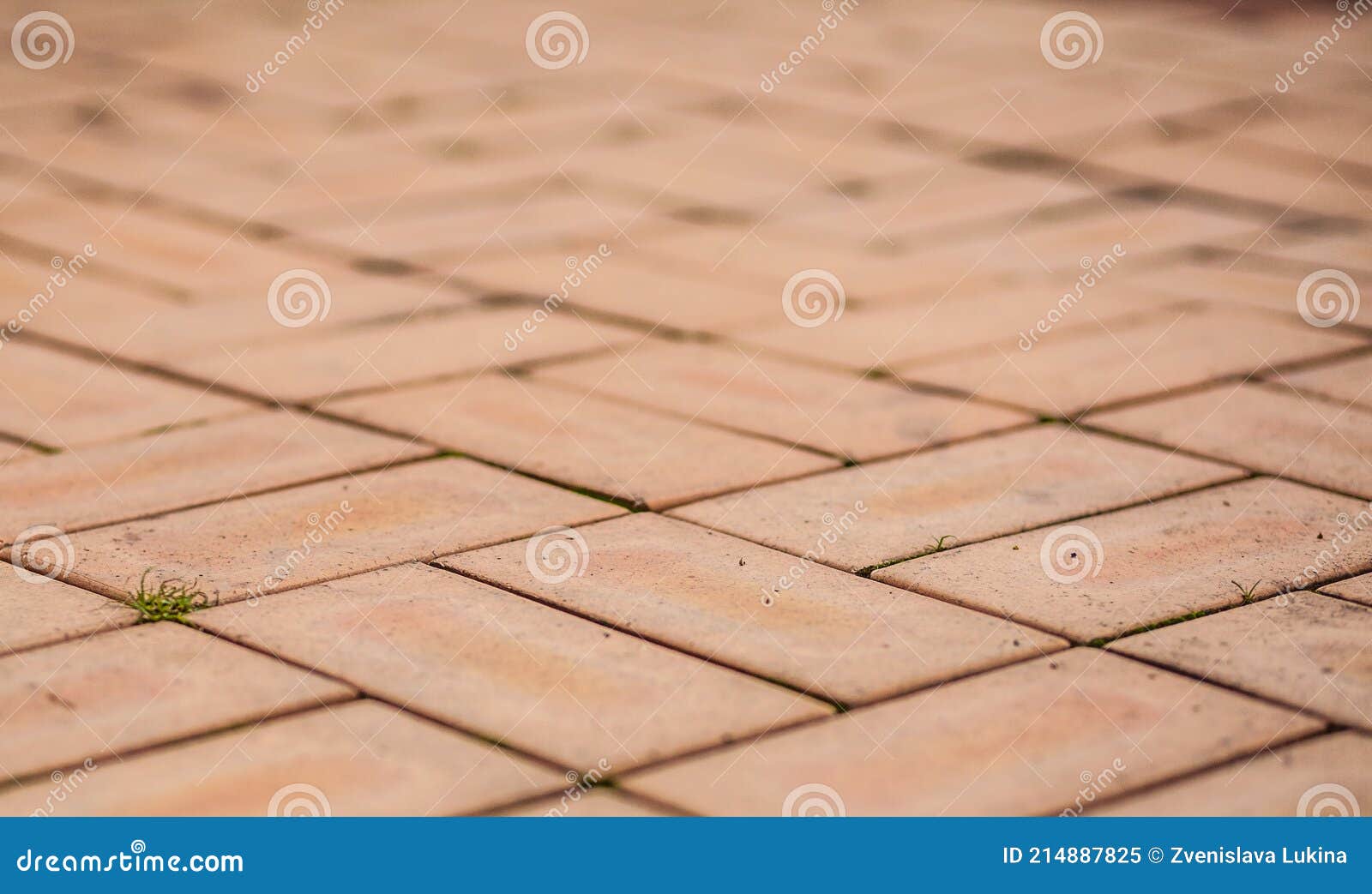 Texture of Red Paving Pedestrian Tiles, Narrow Brick Tiles Stock Image ...
