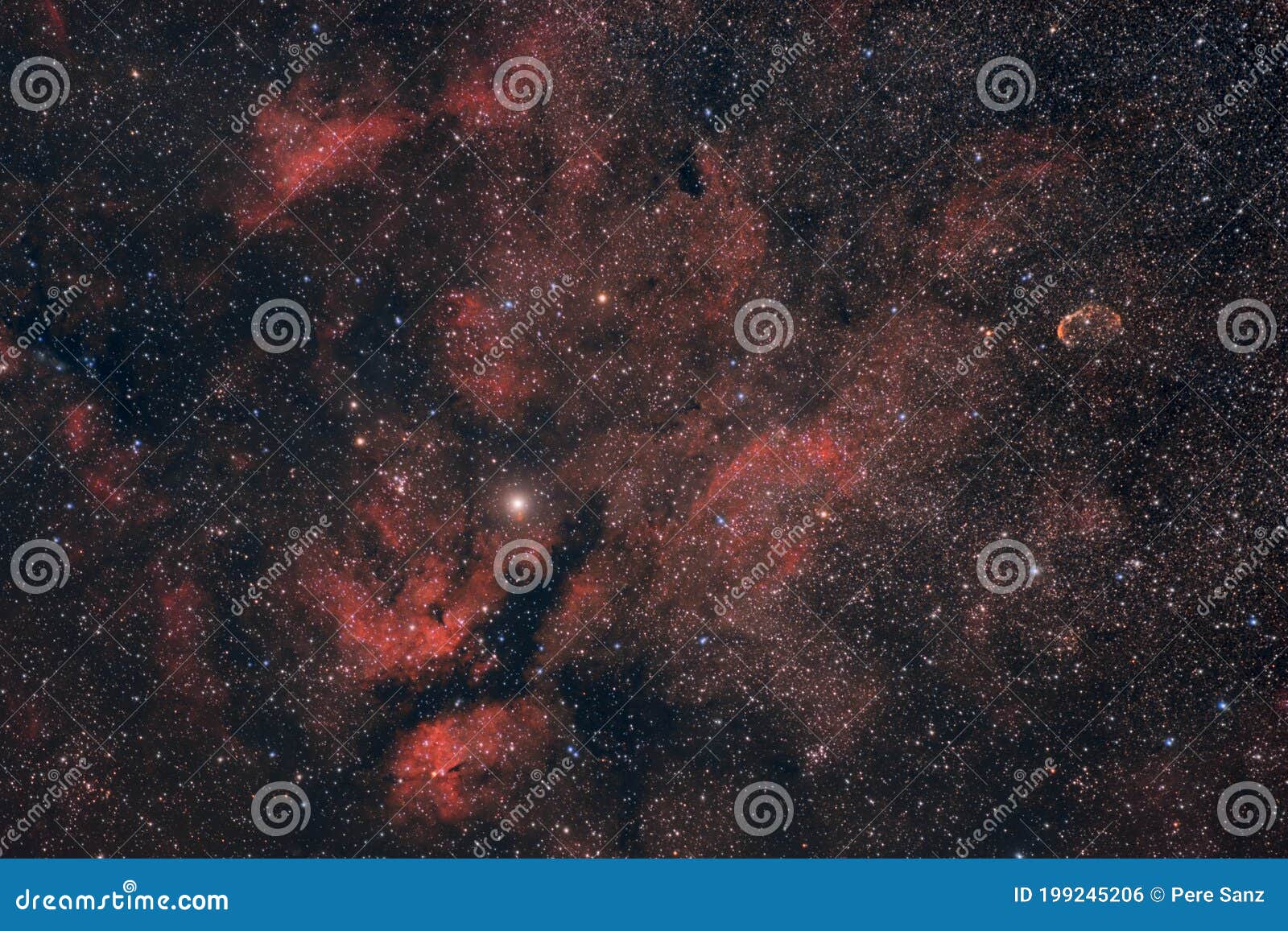 Nebulosity Arroud Sadr in the Constellation of Cygnus Stock Photo ...
