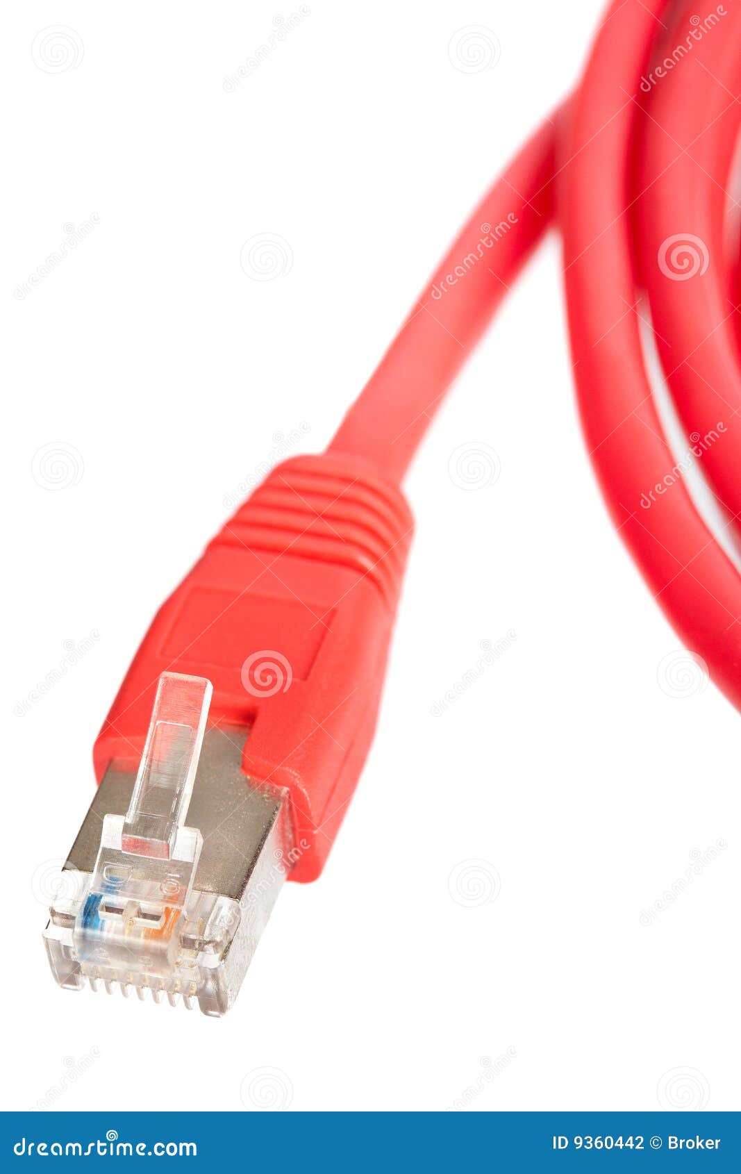 Red network cable stock photo. Image of port, parallel - 9360442