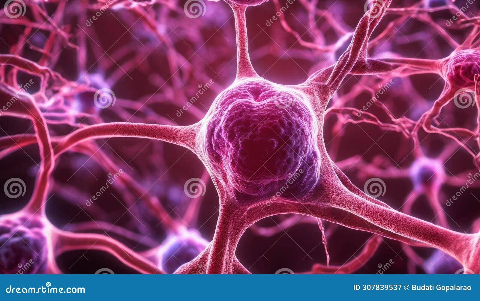 Red Neural Con Sinapsis Una Compleja Red De Conexiones Stock de ...