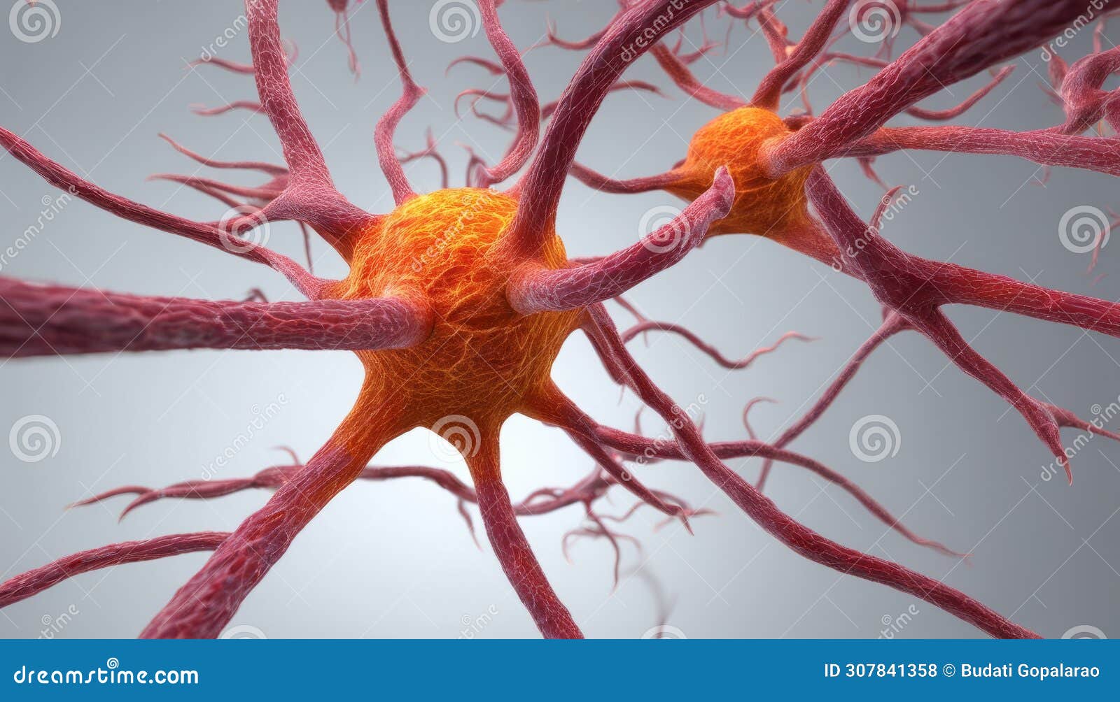 Red Neural Con Sinapsis Una Compleja Red De Neuronas Stock de ...