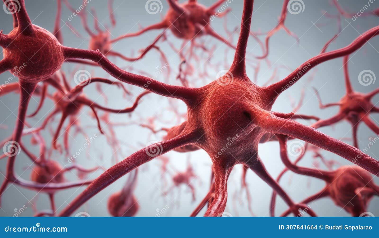 Red Neuronal Una Compleja Red De Neuronas Interconectadas Stock de ...