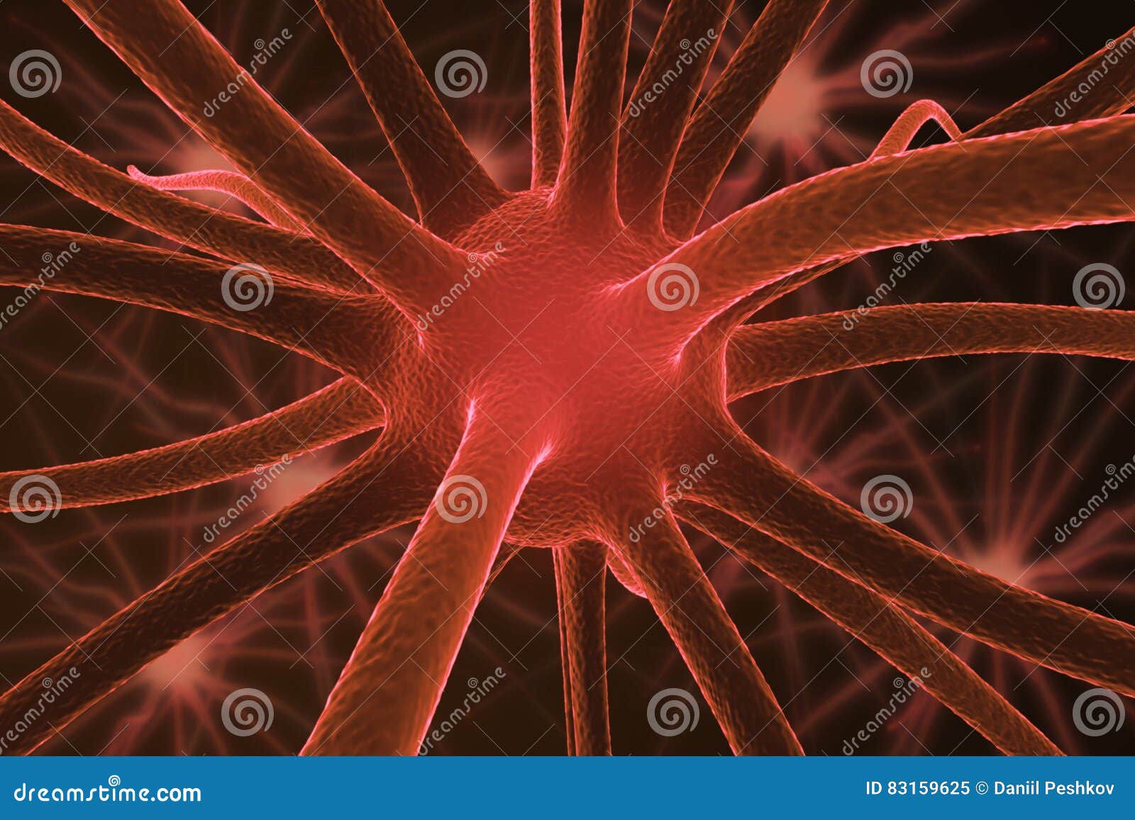 Red neurone closeup stock illustration. Illustration of nerve - 83159625