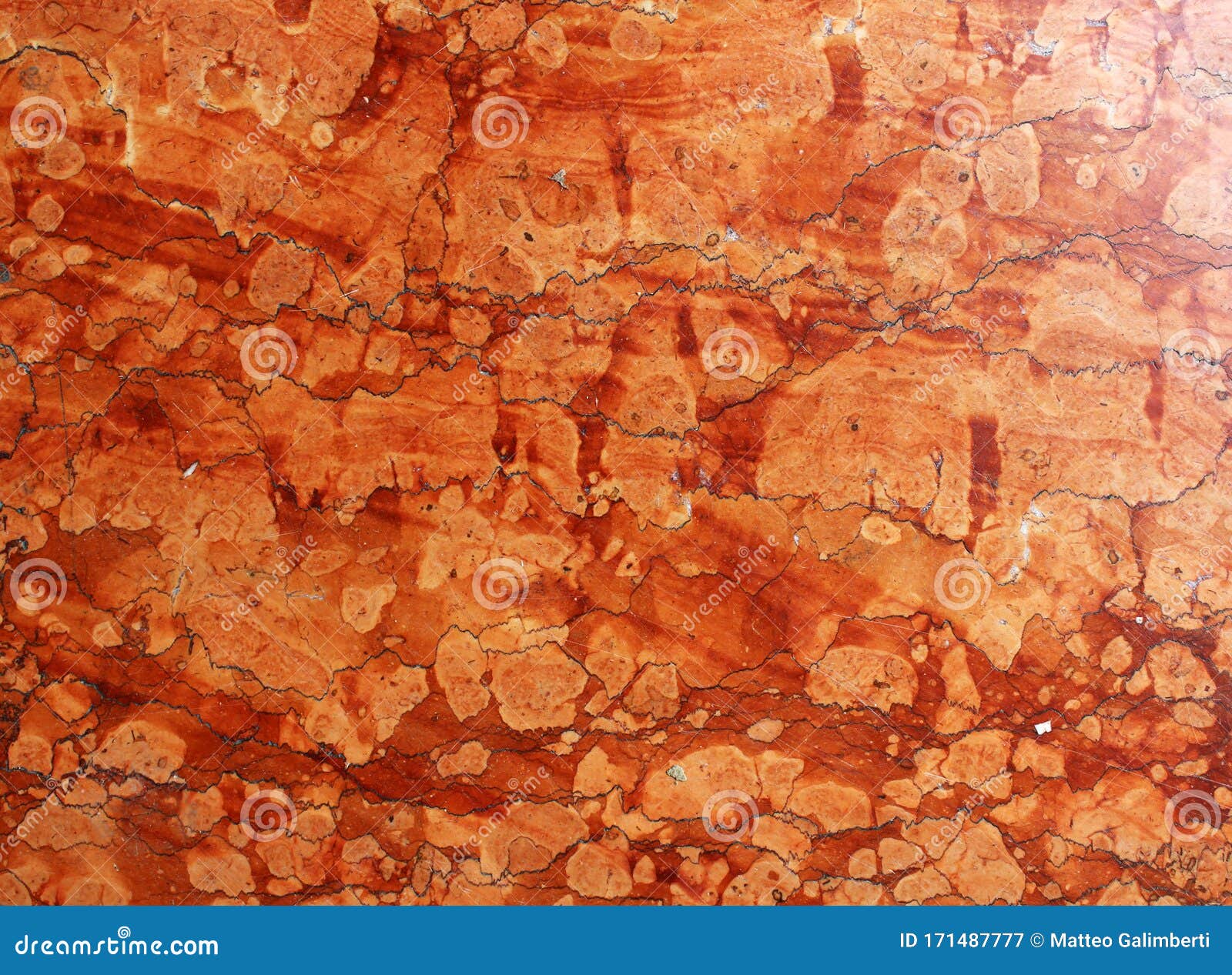 Red Nodular Limestone Polished Surface Stock Image - Image of pattern ...