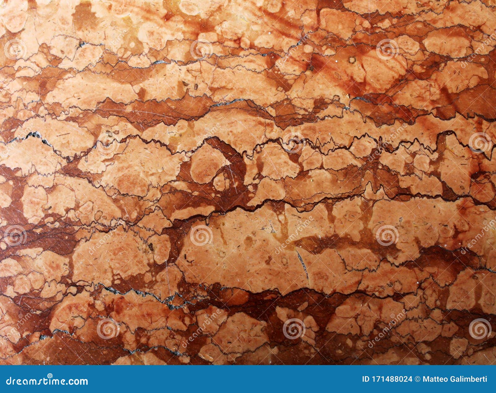 Red Nodular Limestone Polished Surface Stock Photo - Image of ...
