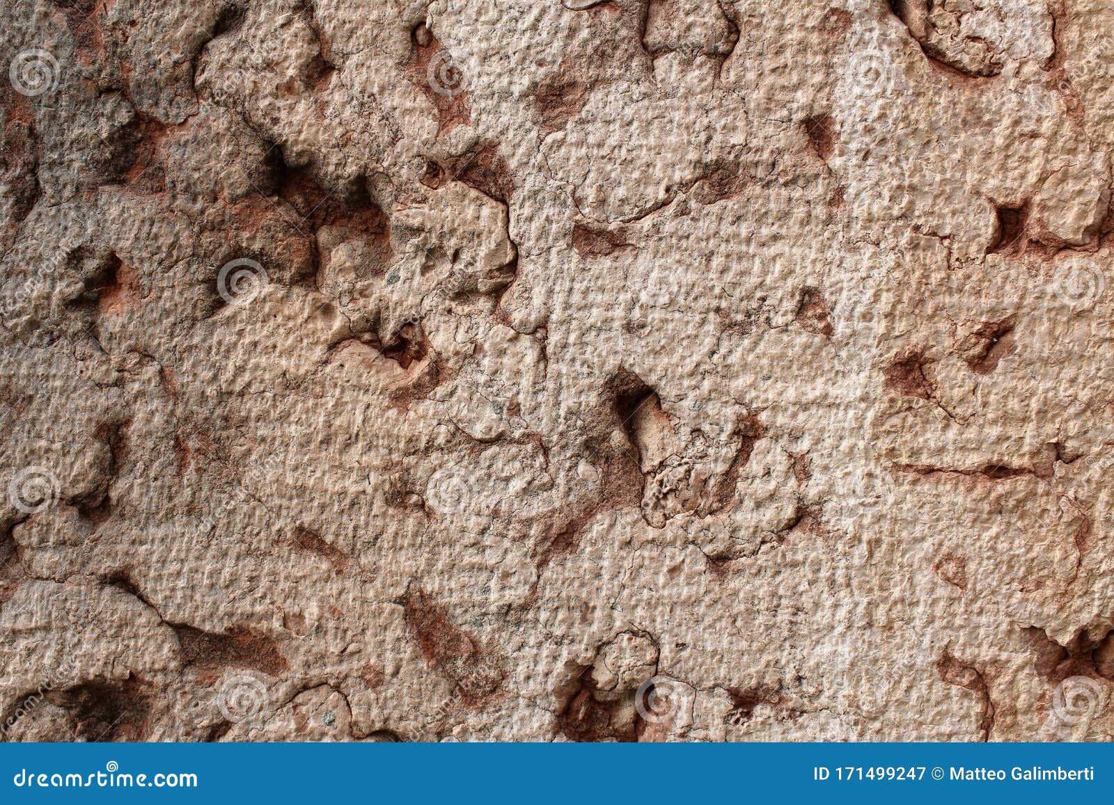 Red Nodular Limestone Rough Surface Stock Image - Image of sedimentary ...