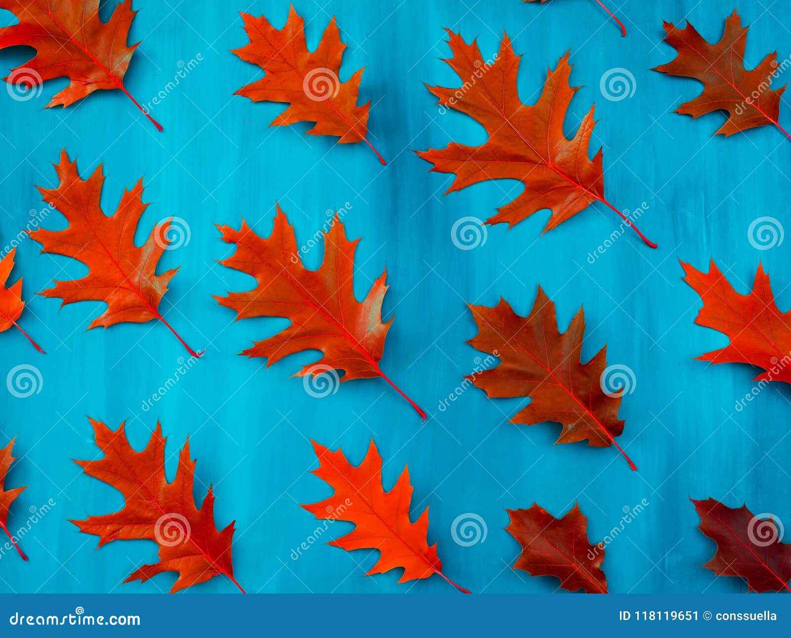 Red Oak Leaves Pattern on a Blue Background Stock Image - Image of ...
