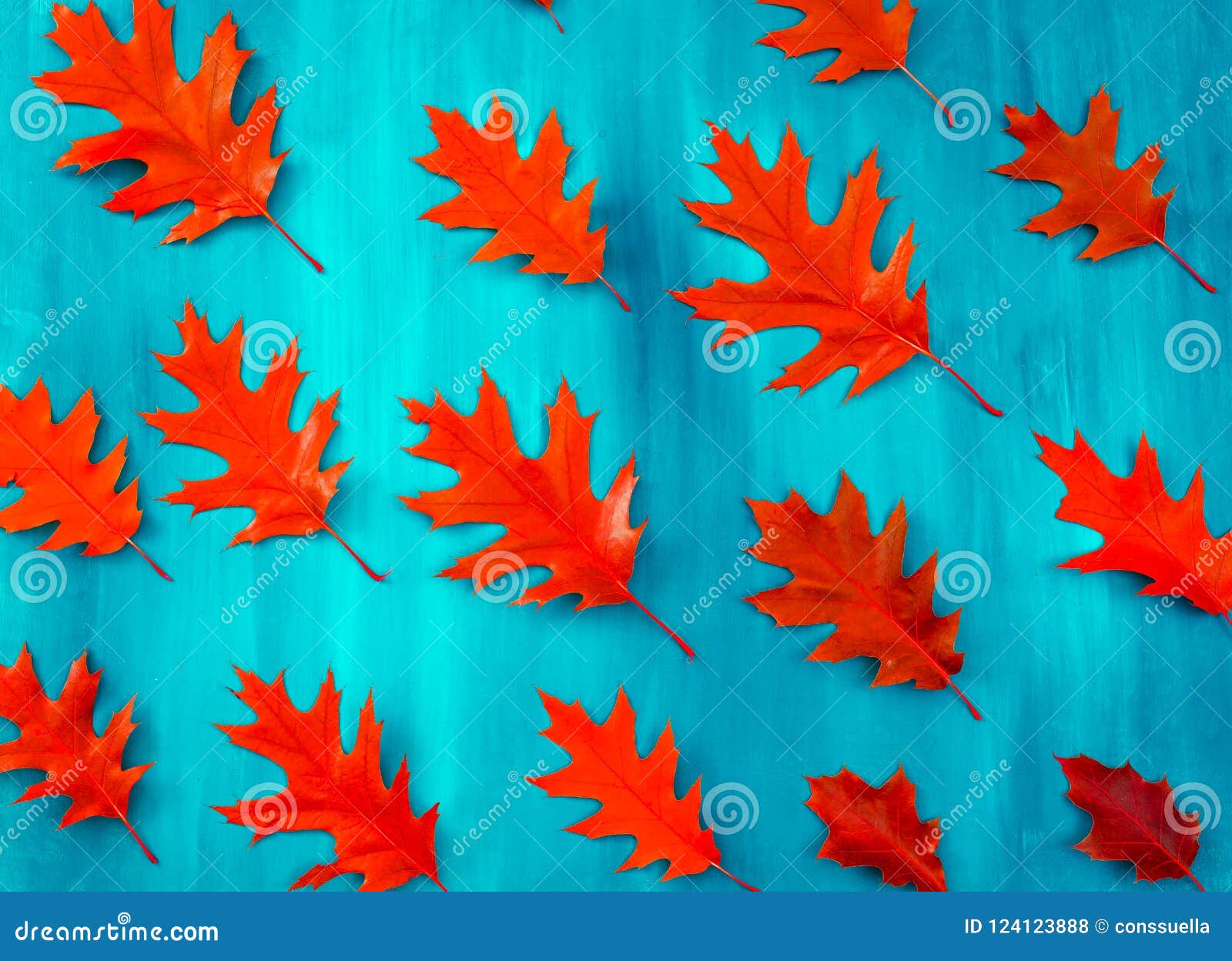Red Oak Leaves Pattern on a Blue Background Stock Photo - Image of ...
