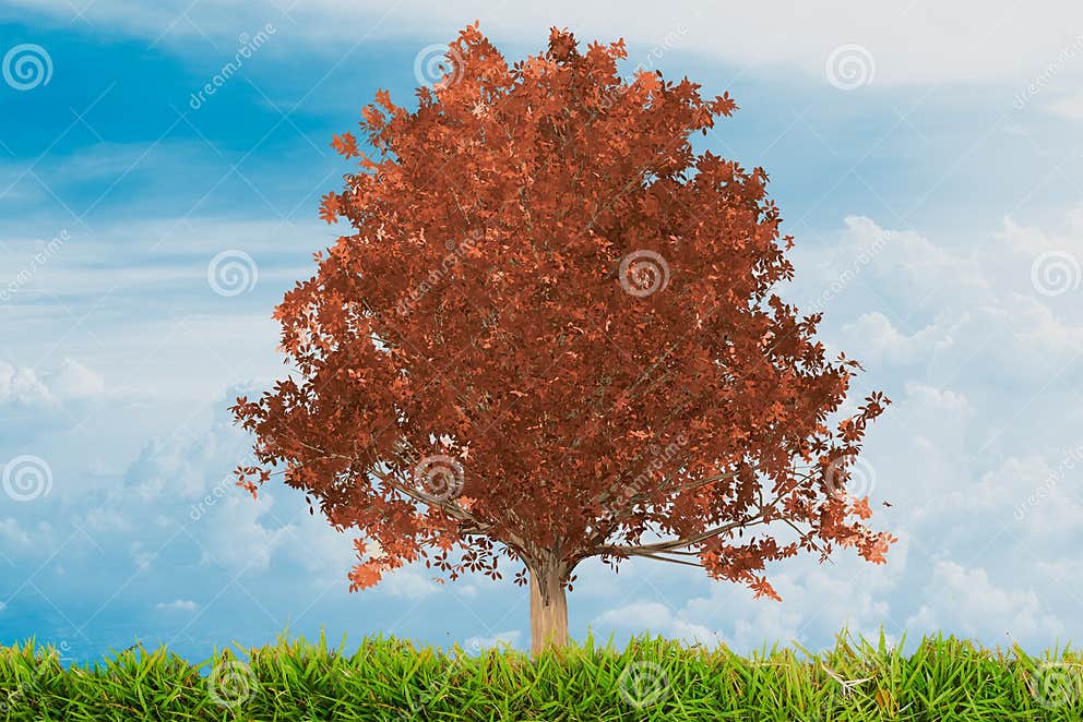 Red Oak Tree with Grass and Blue Sky Stock Illustration - Illustration ...