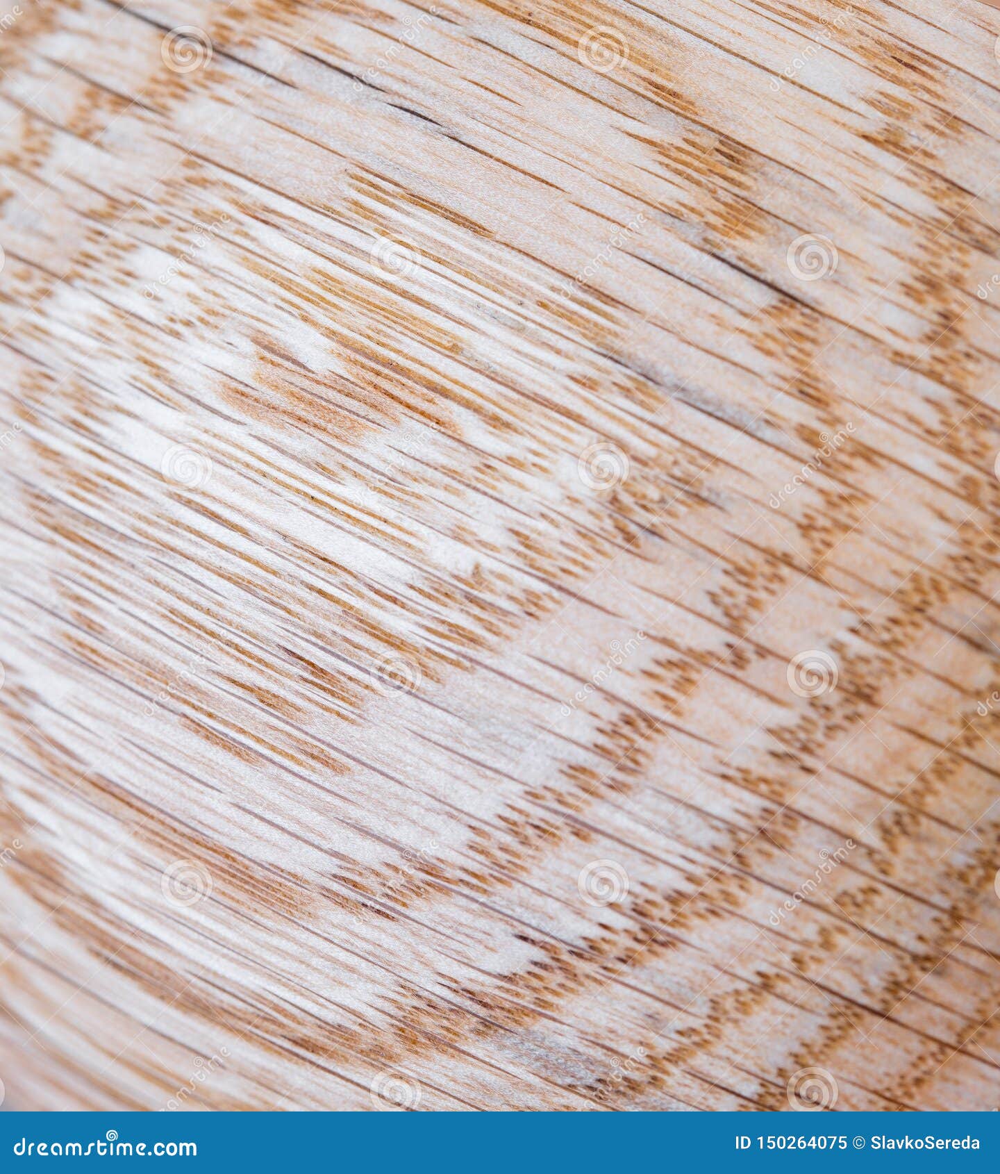 Red Oak Wood Texture Background in Macro Lens Shoot Stock Image - Image ...