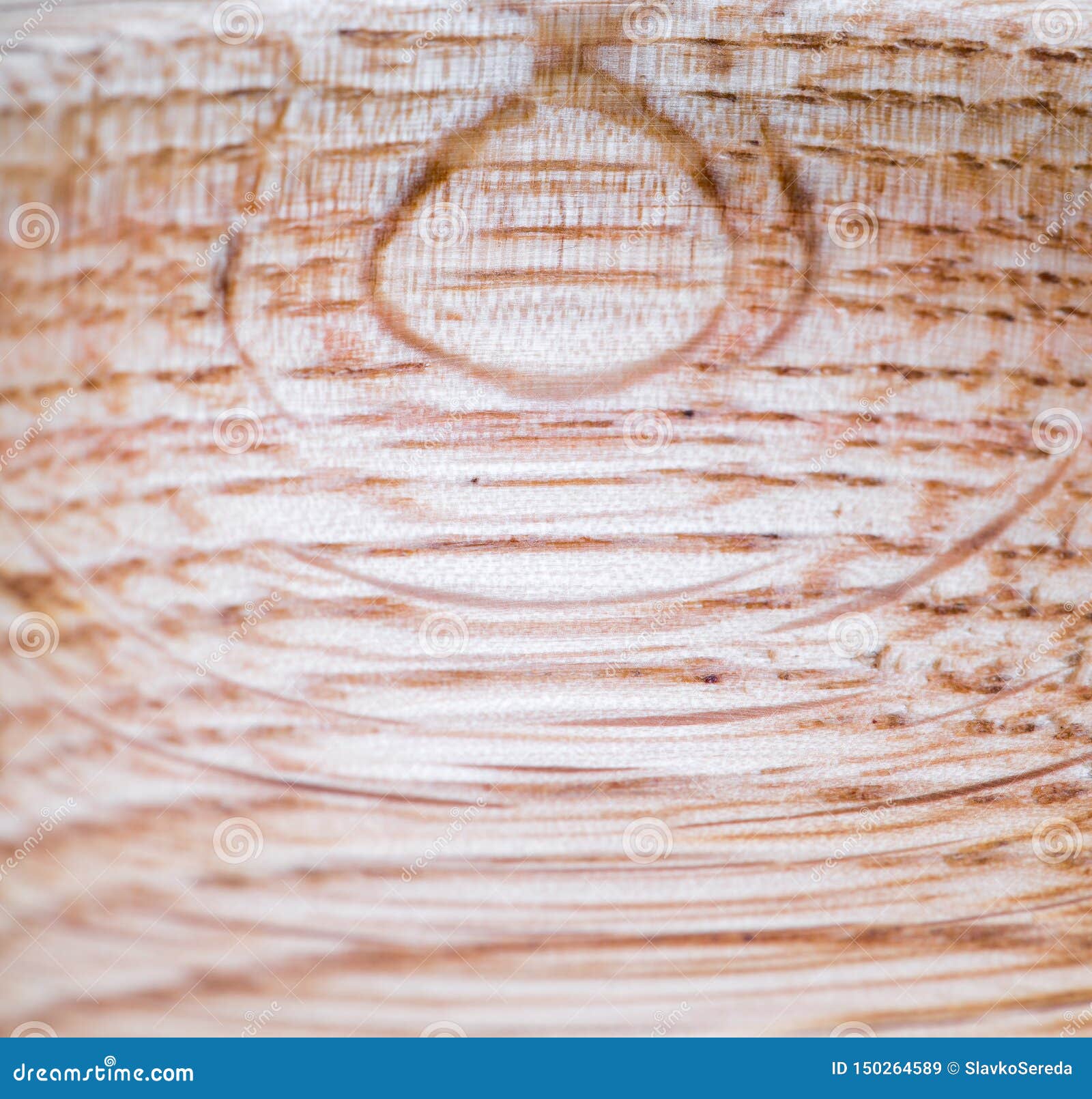 Red Oak Wood Texture Background in Macro Lens Shoot Stock Image - Image ...