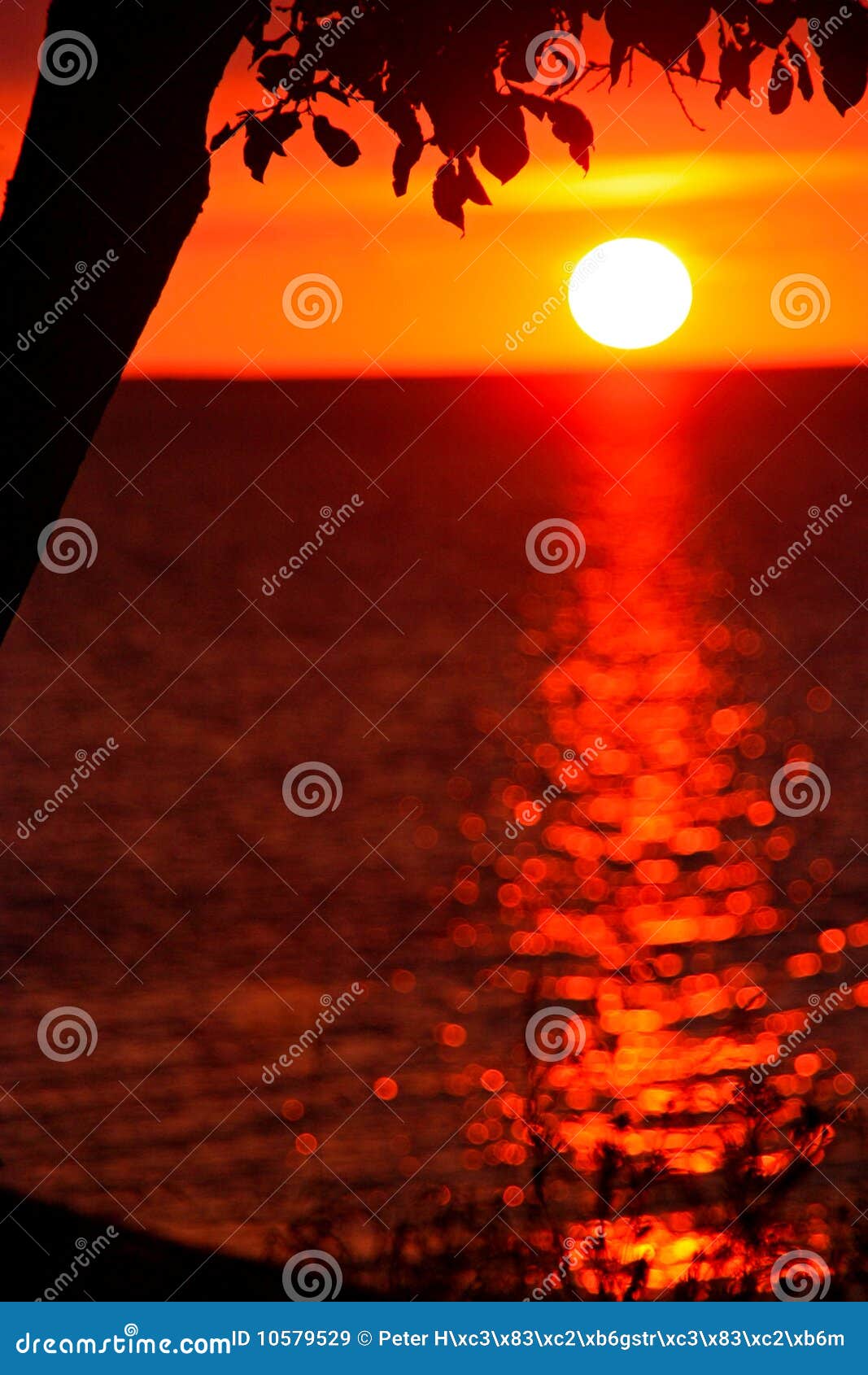 Red ocean sunset stock image. Image of outside, black - 10579529