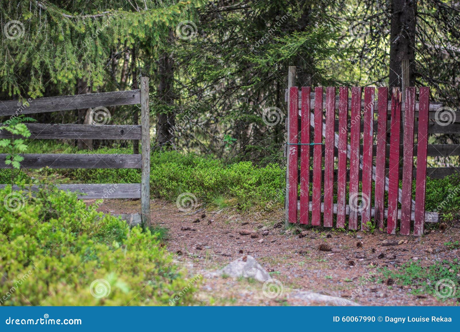 A Red Old Gate in the Woods Stock Photo - Image of europe, woods: 60067990