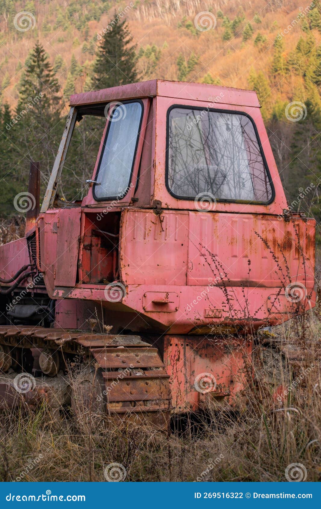 Red old tractor in field stock photo. Image of wheel - 269516322