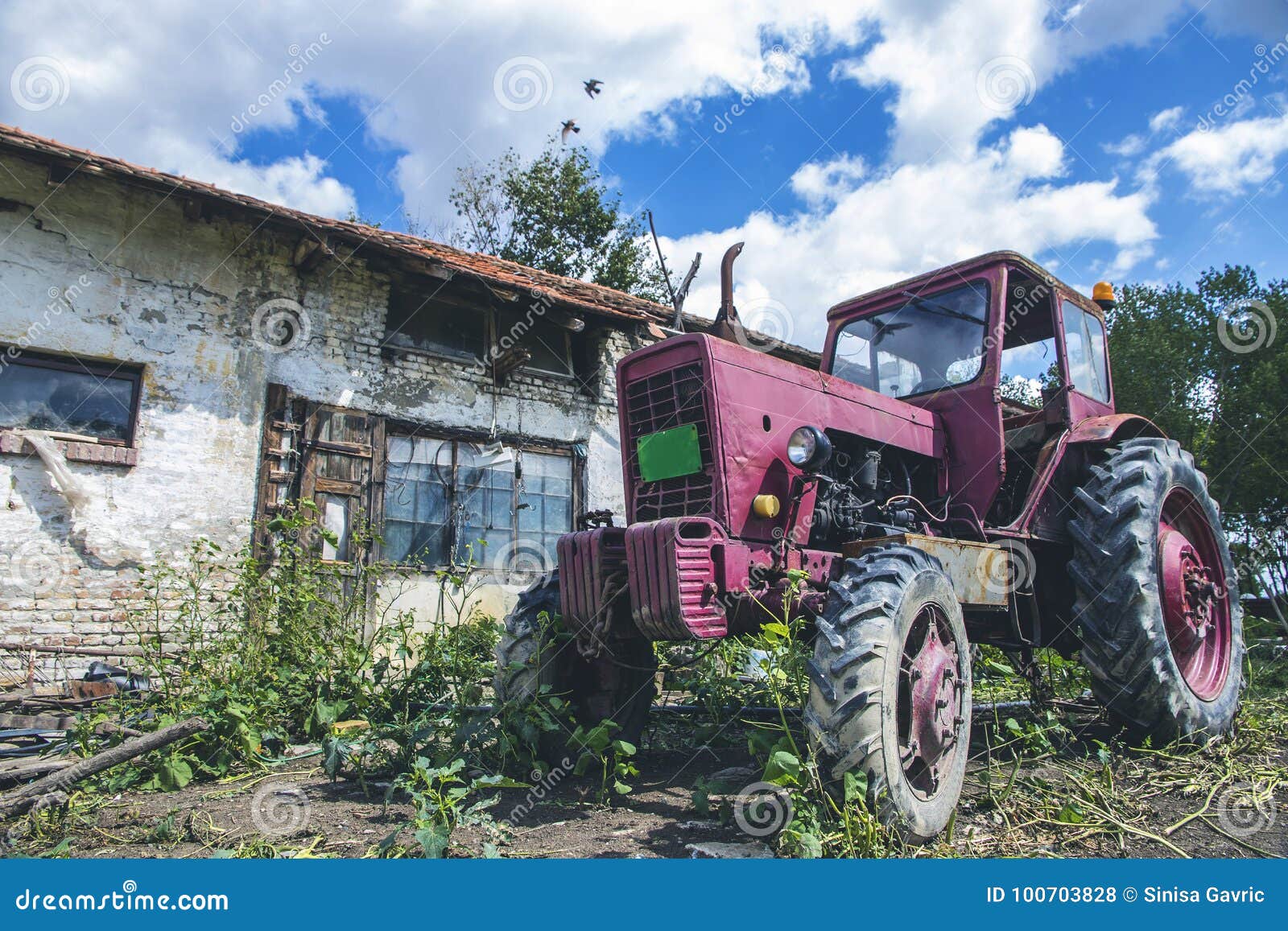 Red old Tractor stock photo. Image of outdoor, colorful - 100703828