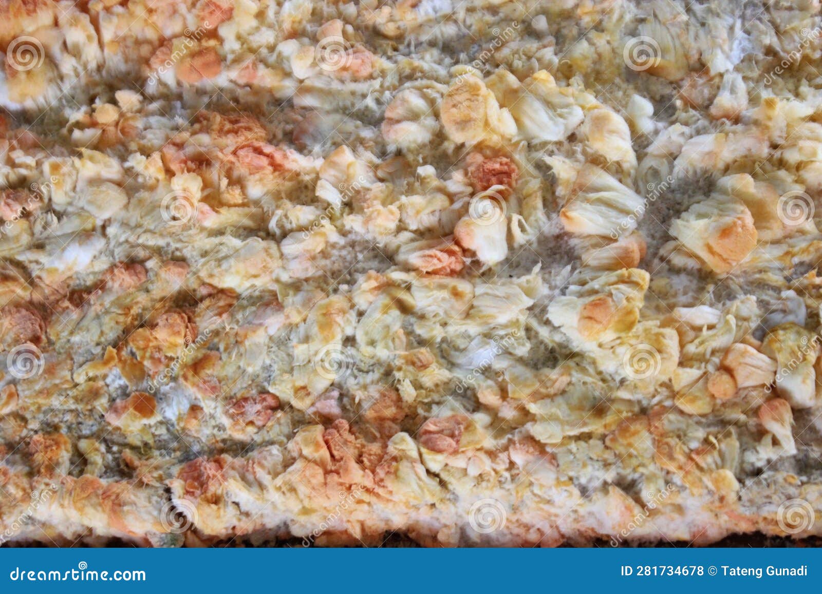 Red Oncom, a Popular Traditional Food in Indonesia. Stock Photo - Image ...