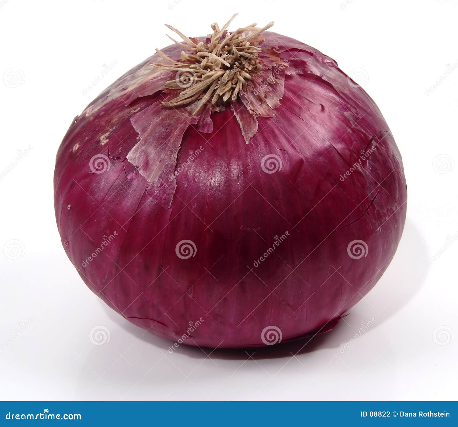 Red Onion stock photo. Image of skin, salad, cook, ingredient - 8822