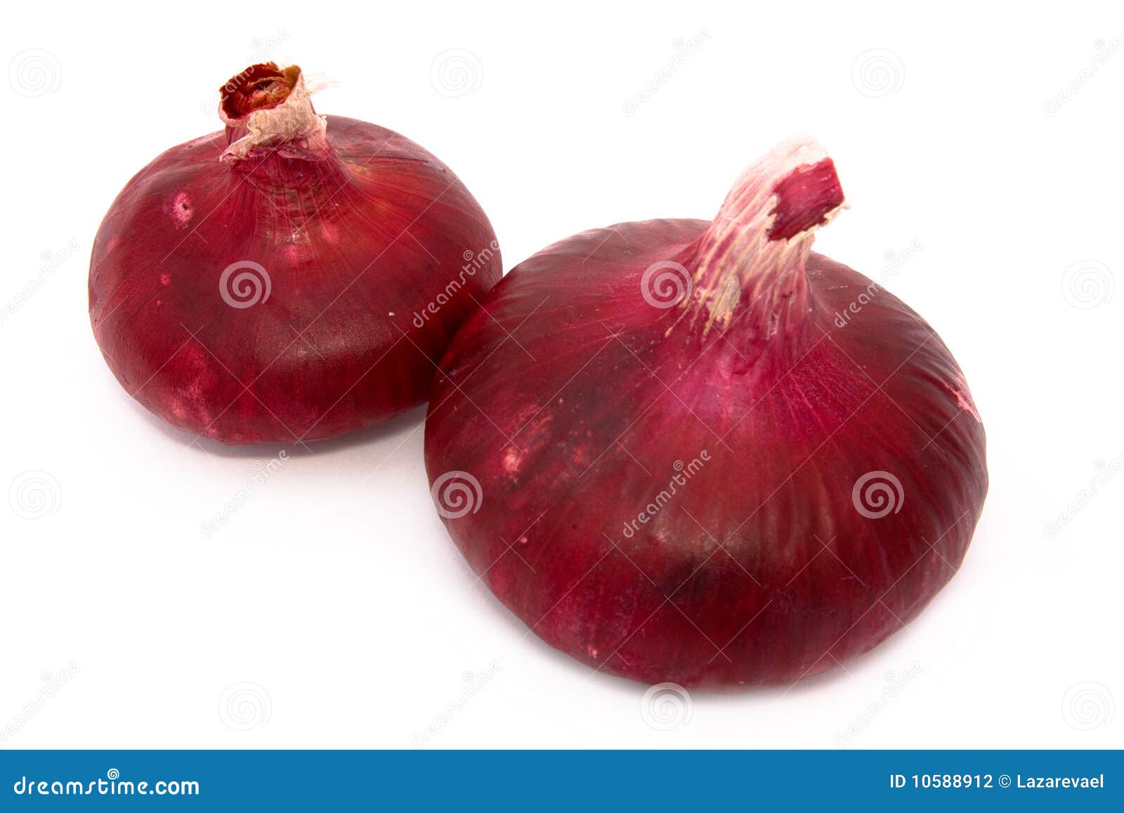 Red onion stock photo. Image of shadow, food, macro, background - 10588912