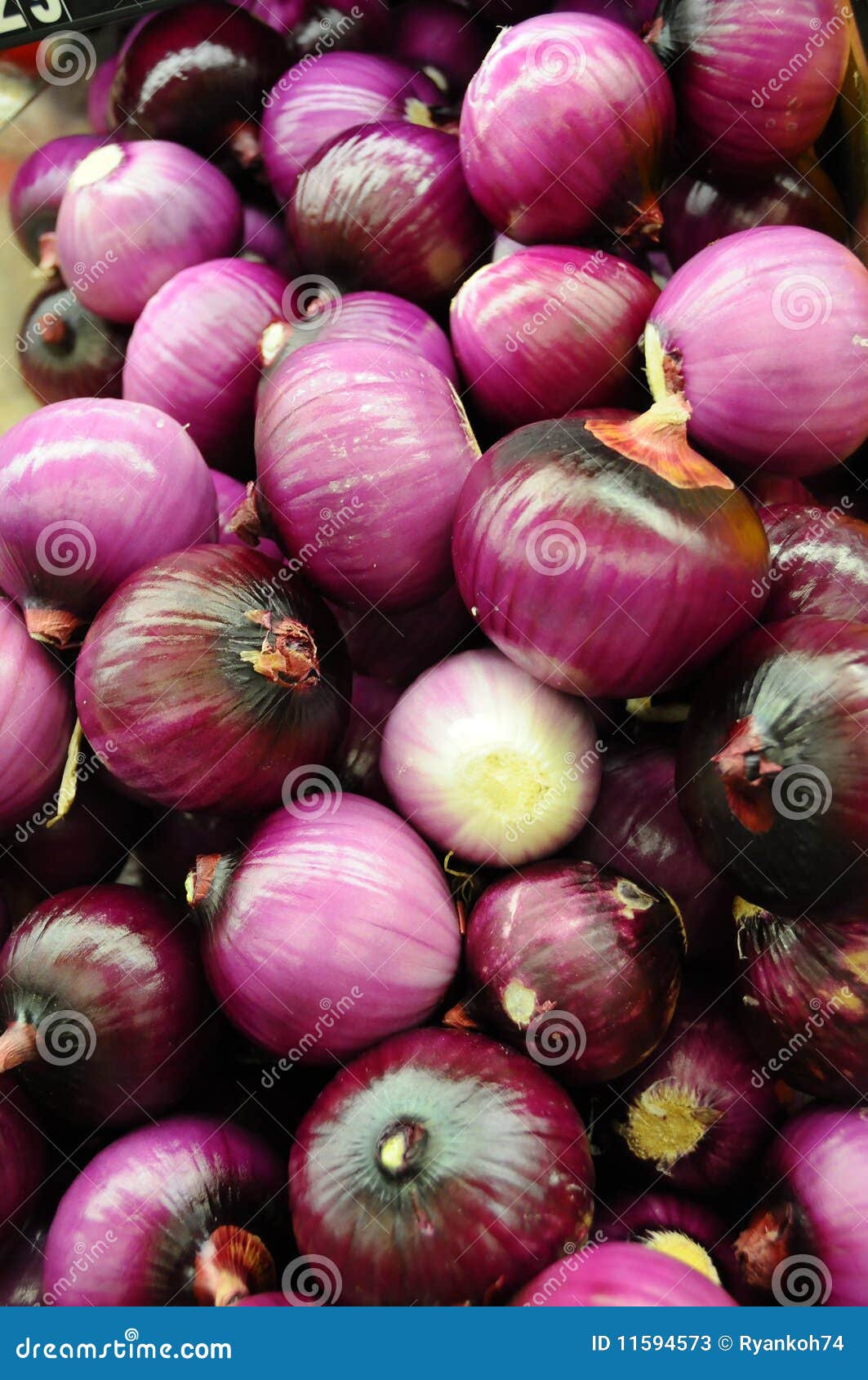 Red Onion stock image. Image of layer, regular, foodstuff - 11594573