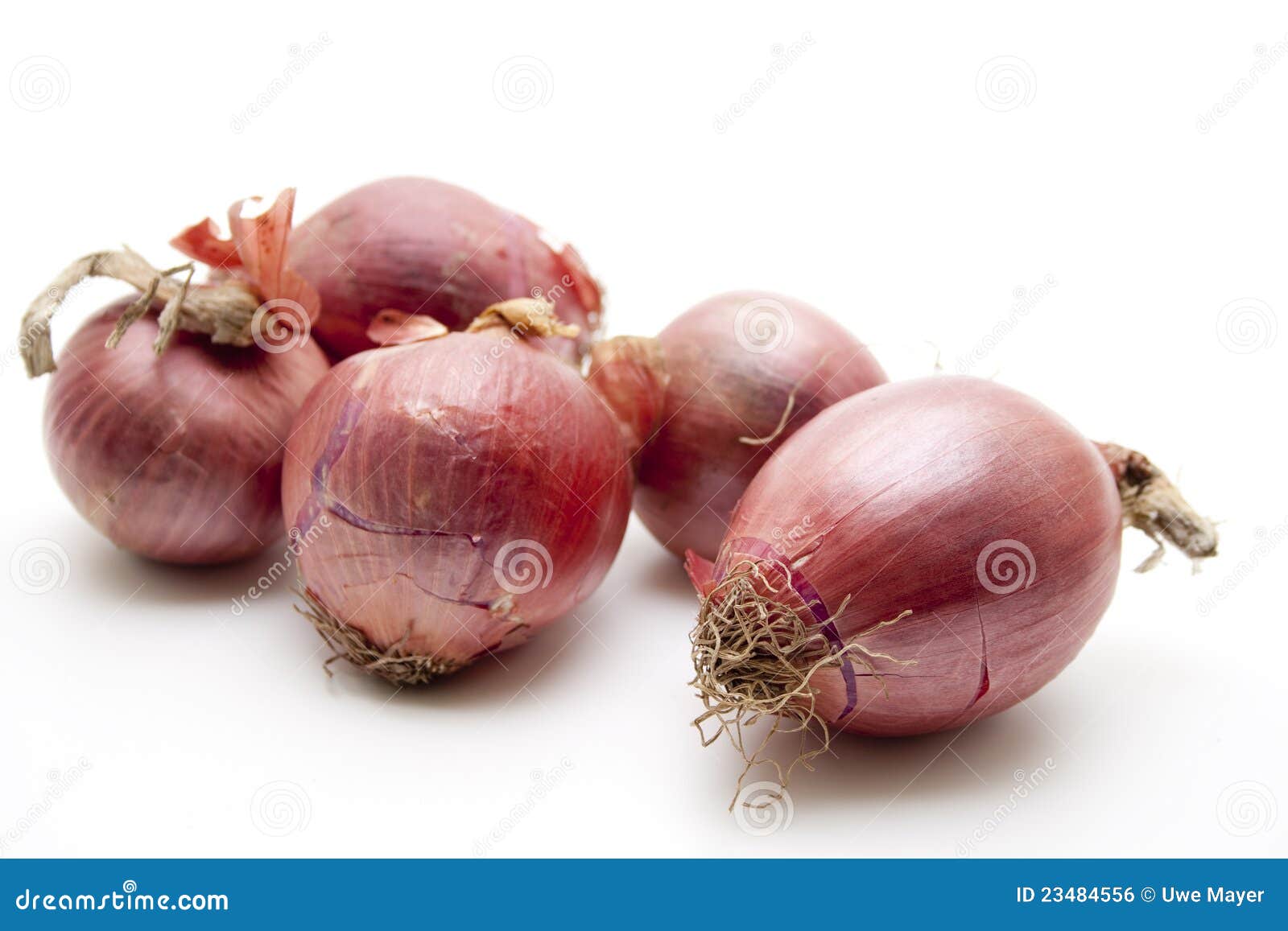 Red onion stock photo. Image of healthy, food, freshly - 23484556