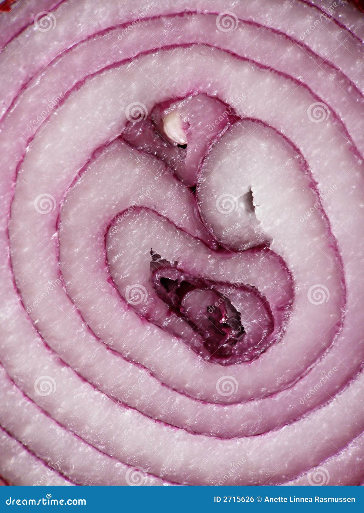 Red onion stock photo. Image of food, aromatic, salad - 2715626