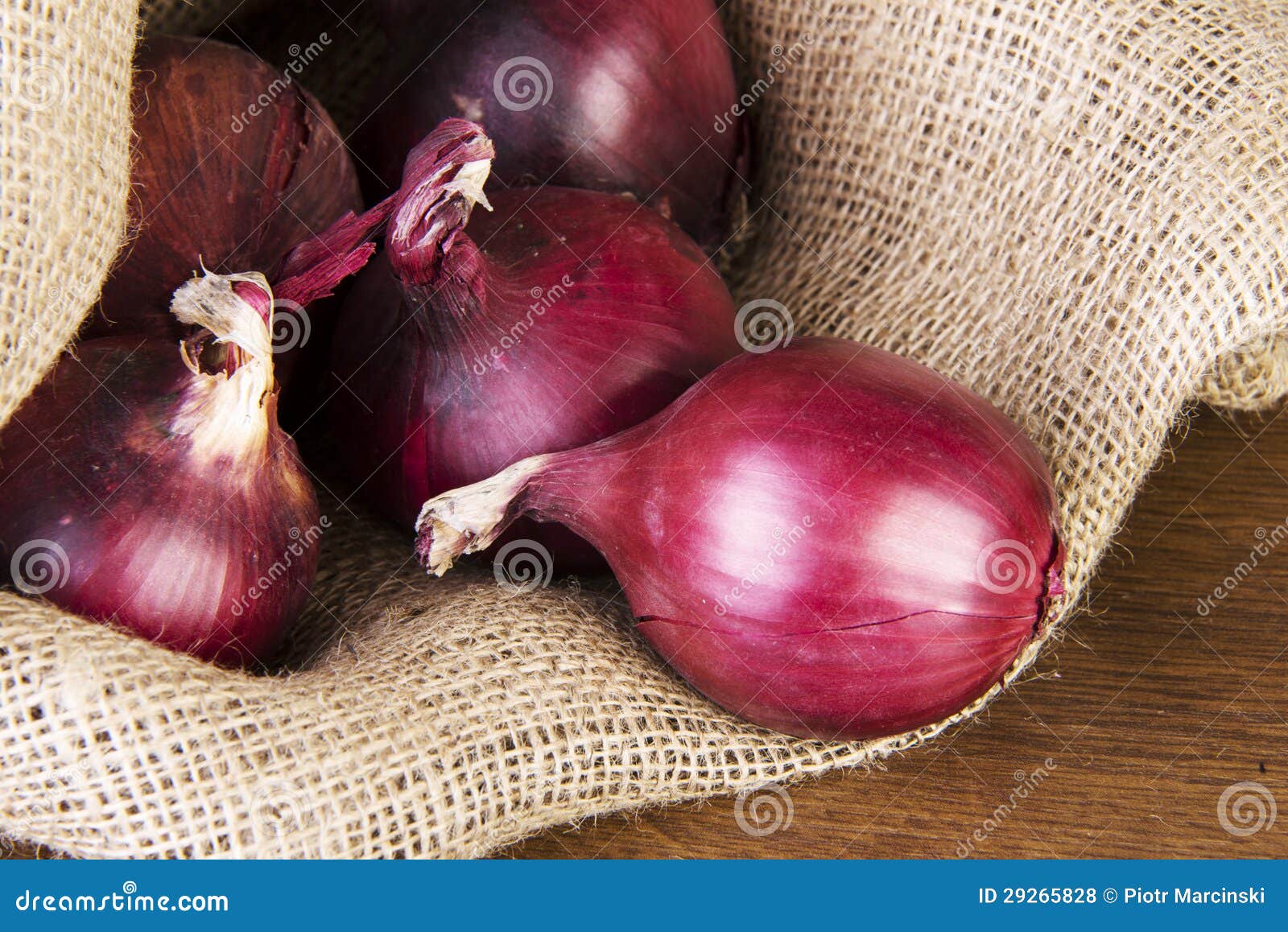 Red onion stock photo. Image of mesh, brown, organic - 29265828