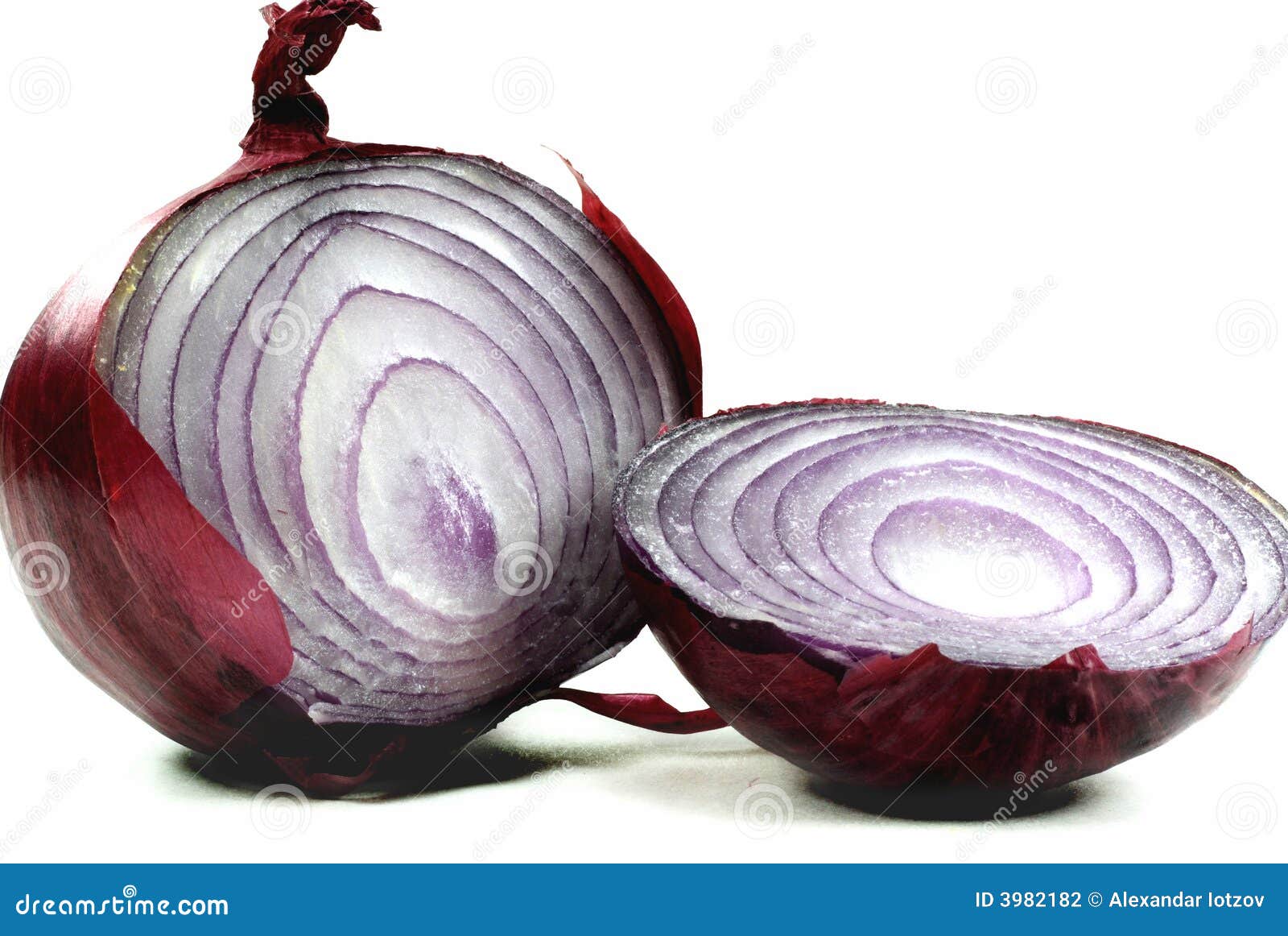 Red Onion. stock photo. Image of nature, gardening, cook - 3982182